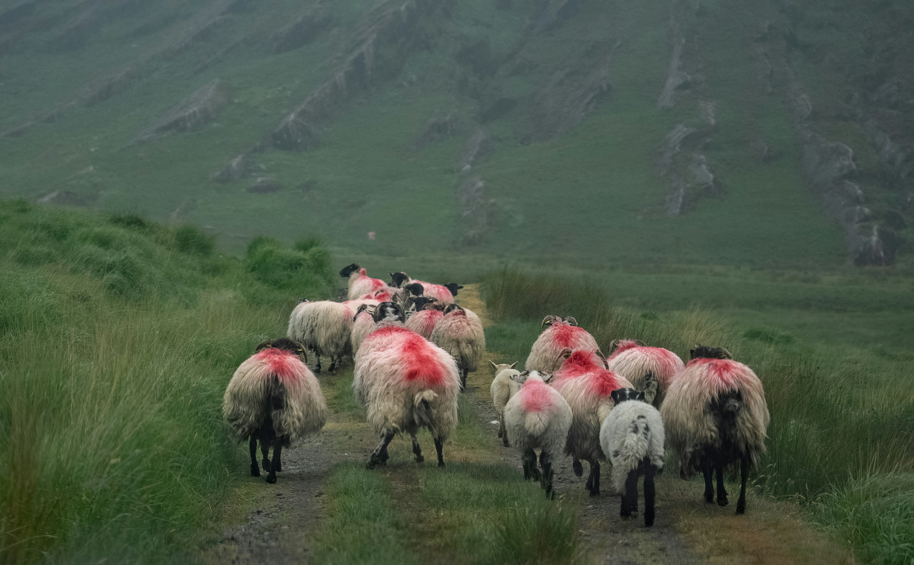 Photo by mana5280 with Sony Alpha 1