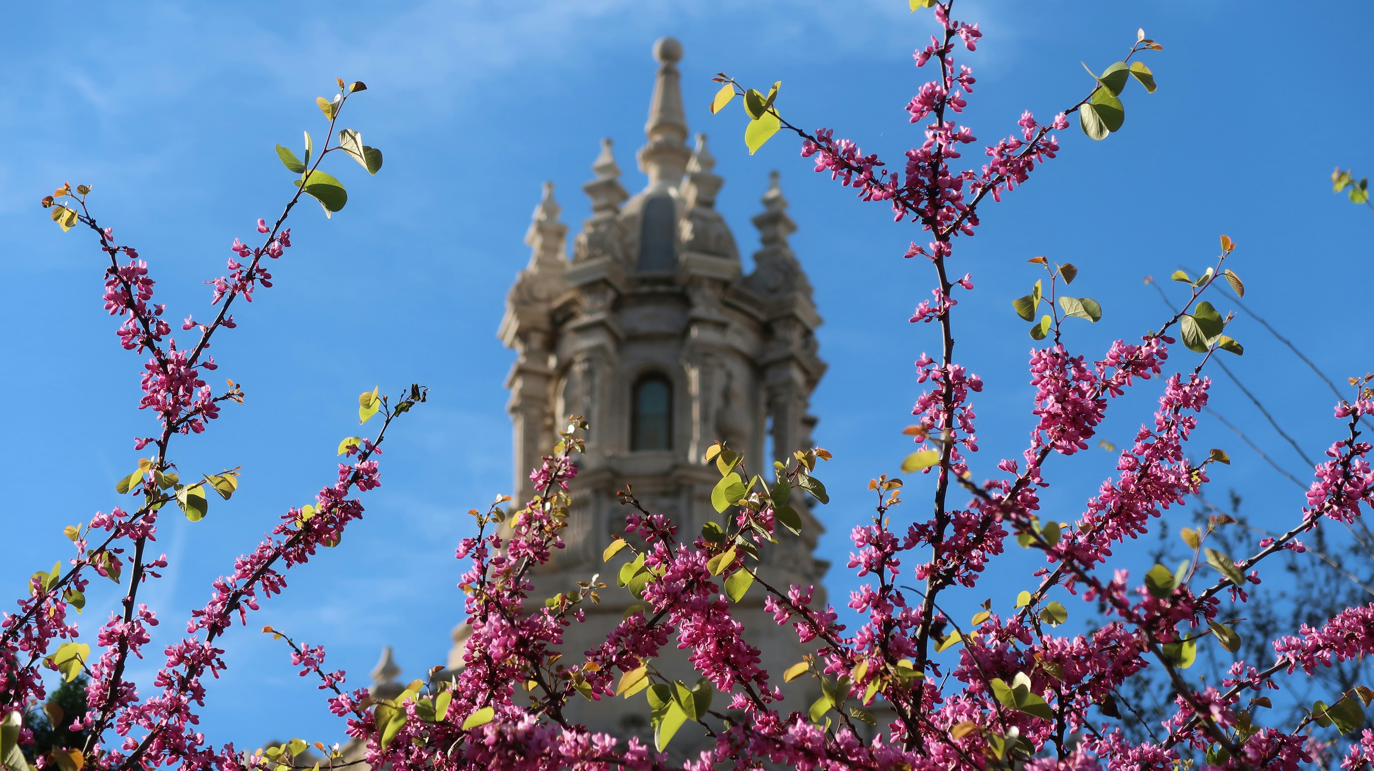 Photo by Alejandro Hikari with Canon PowerShot G7 X Mark II