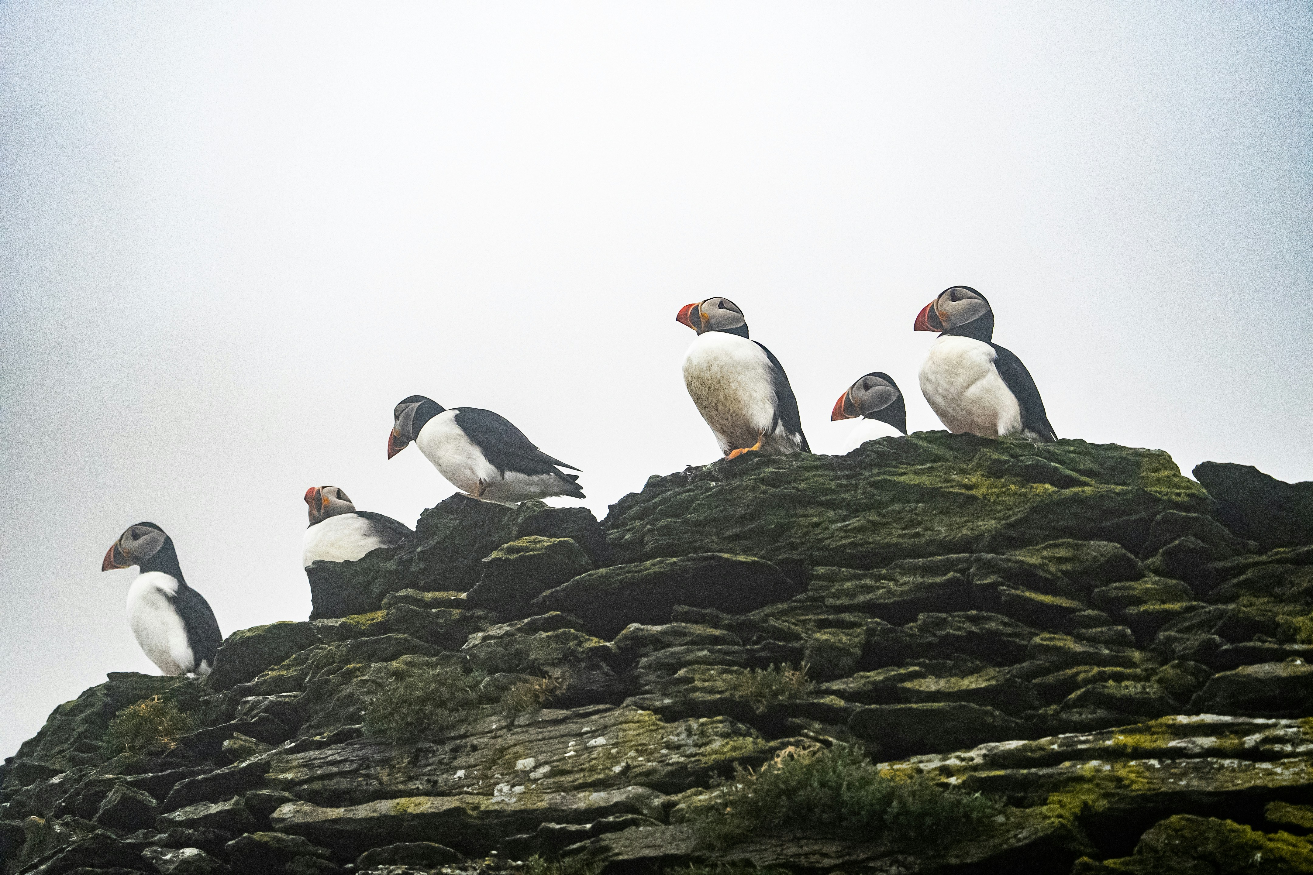 Photo by mana5280 with Sony Alpha 1