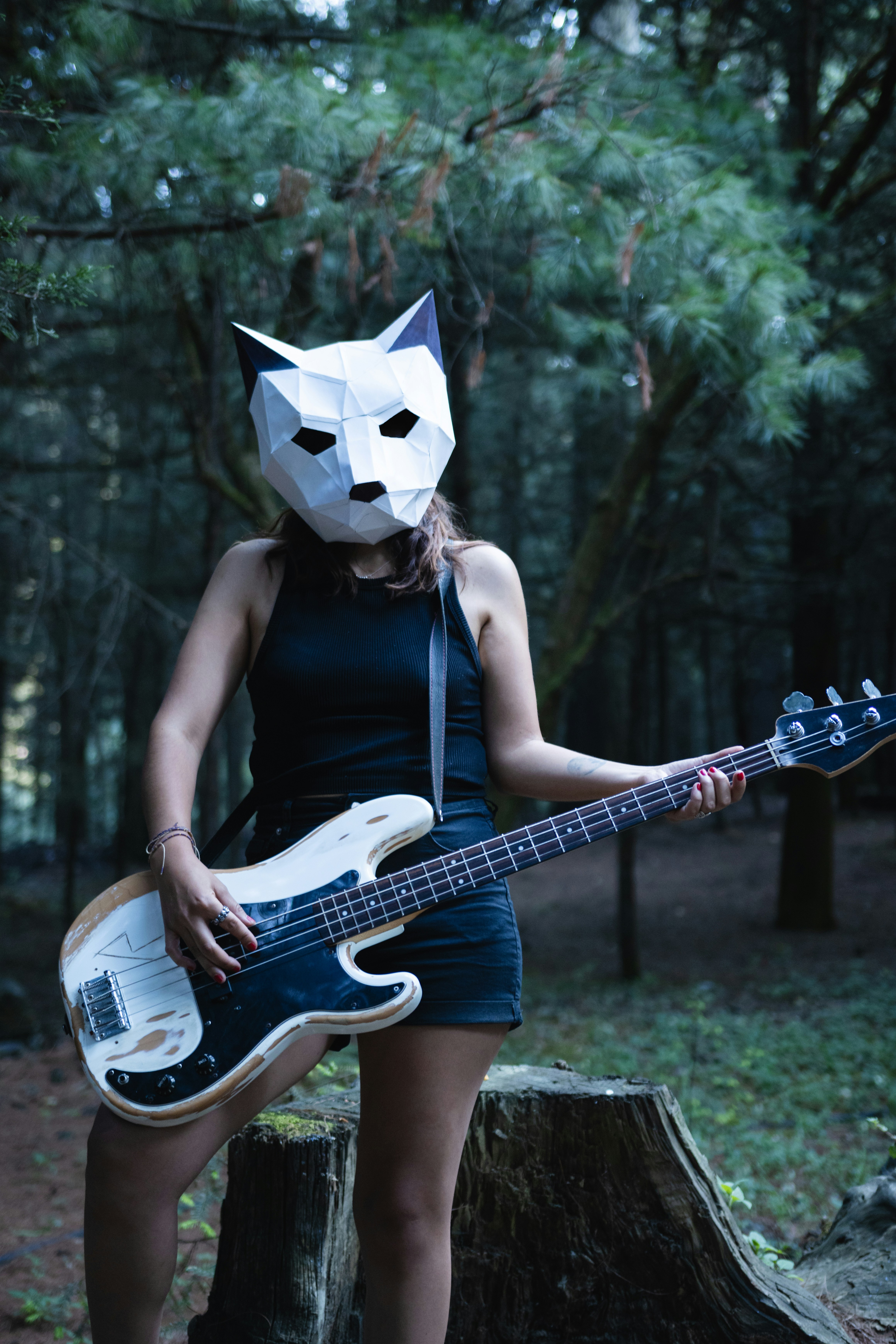 Geometric Wolf Mask Serenade: Bass in the Pines
