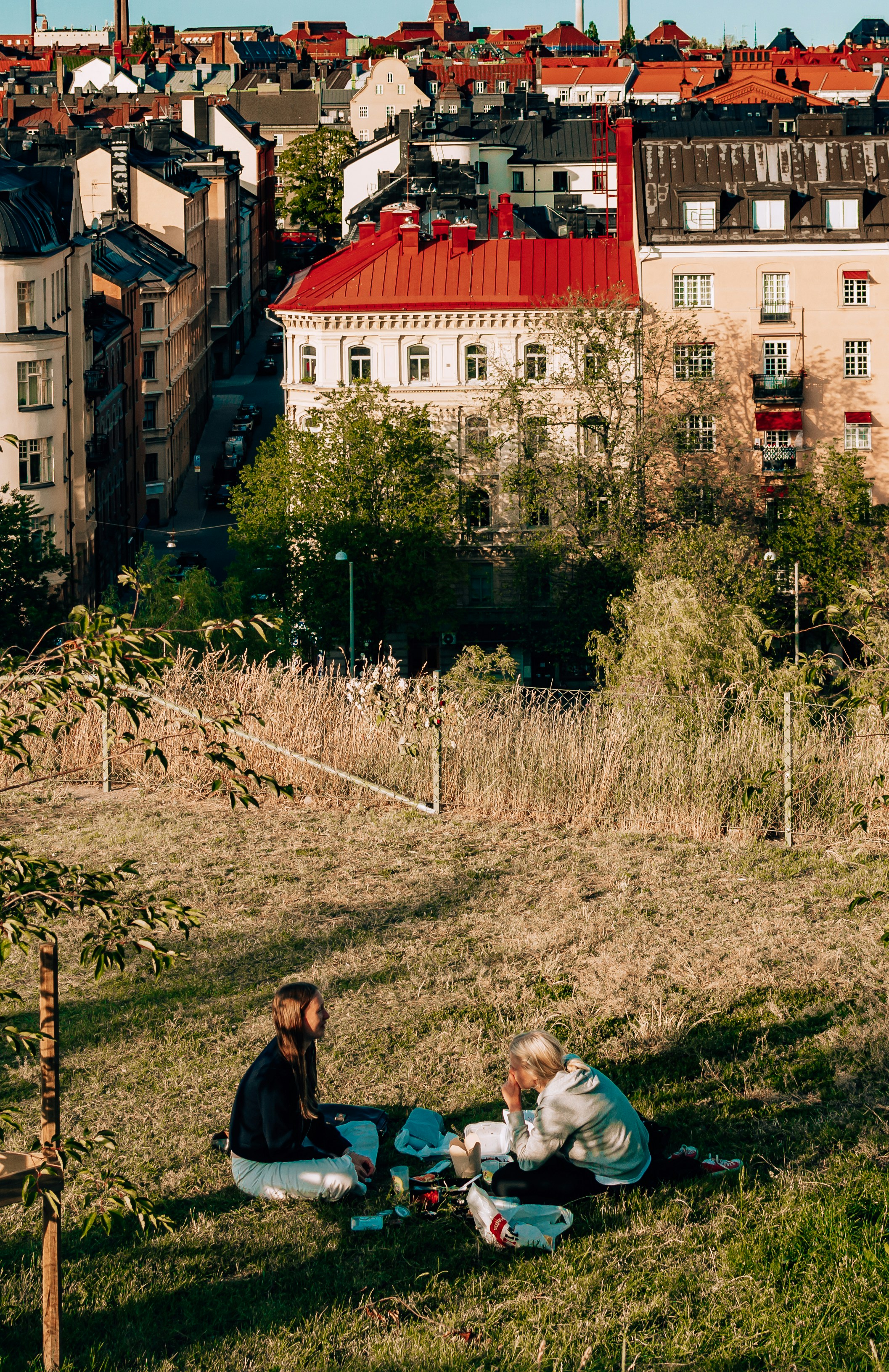 Afternoon Hilltop Picnic Framing a Red-Roofed City