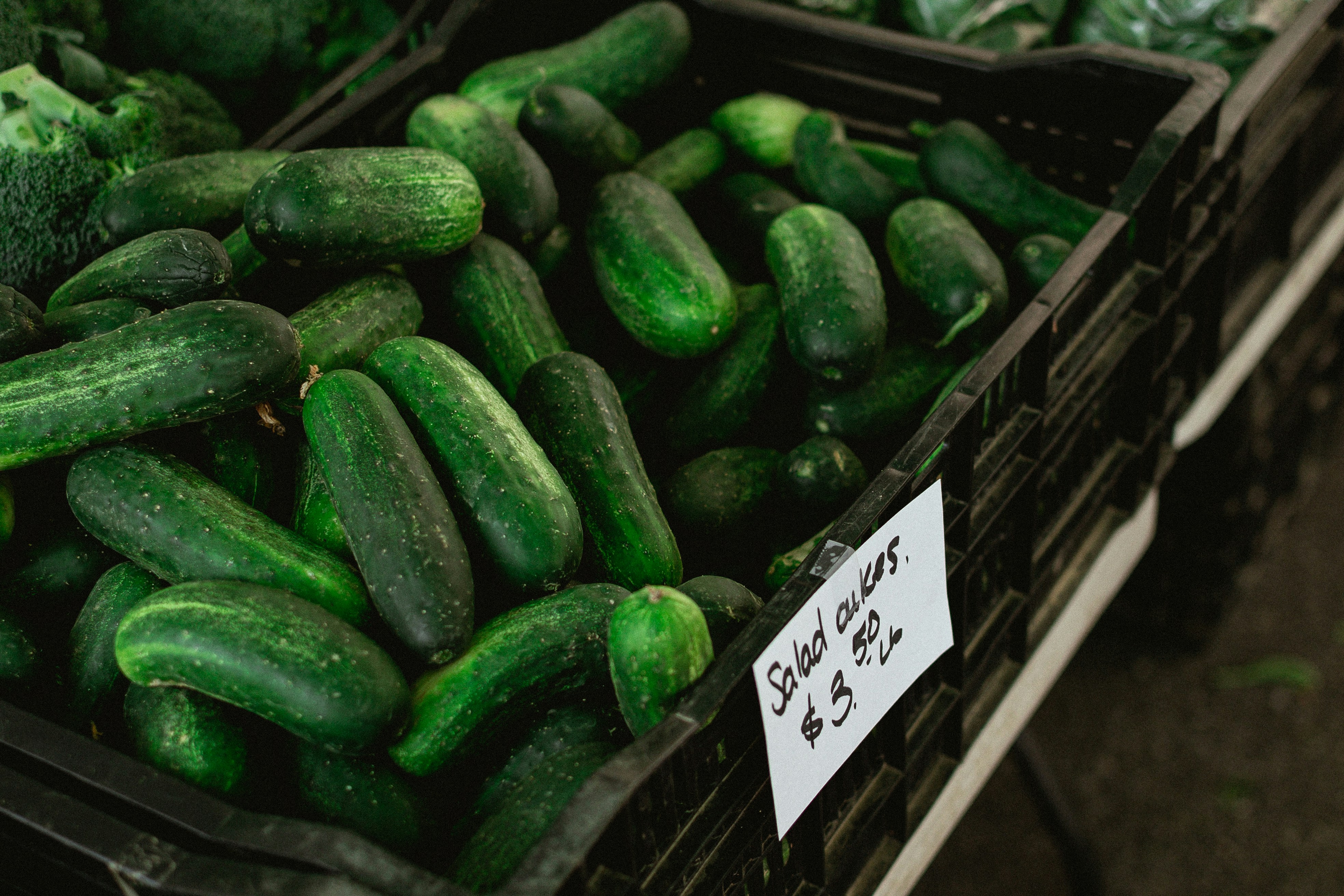 A pile of cucumbers sitting next to each other photo – Free Cucumber Image on Unsplash