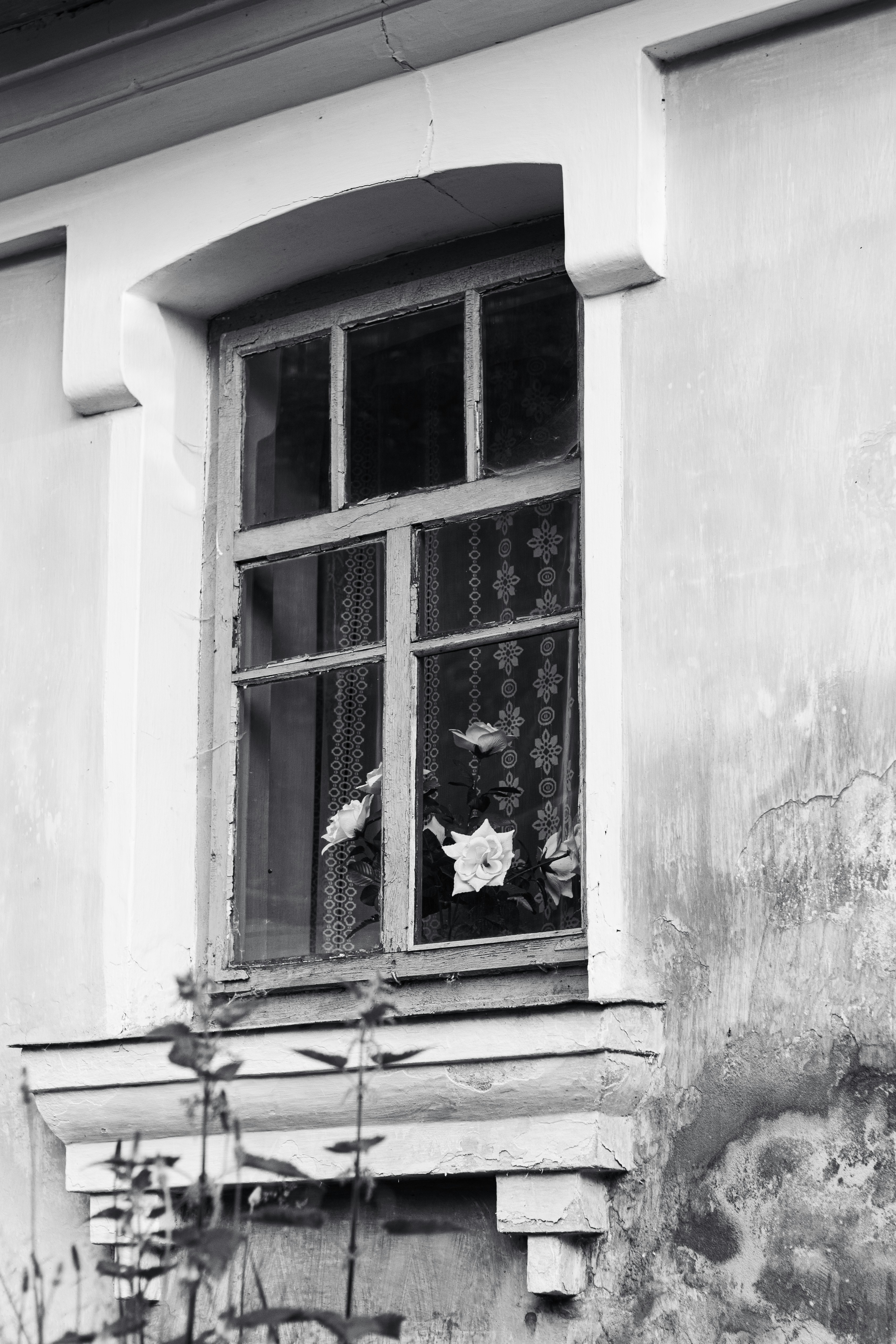 Weathered Window in Black and White: Quiet Decay of a Florid Moment