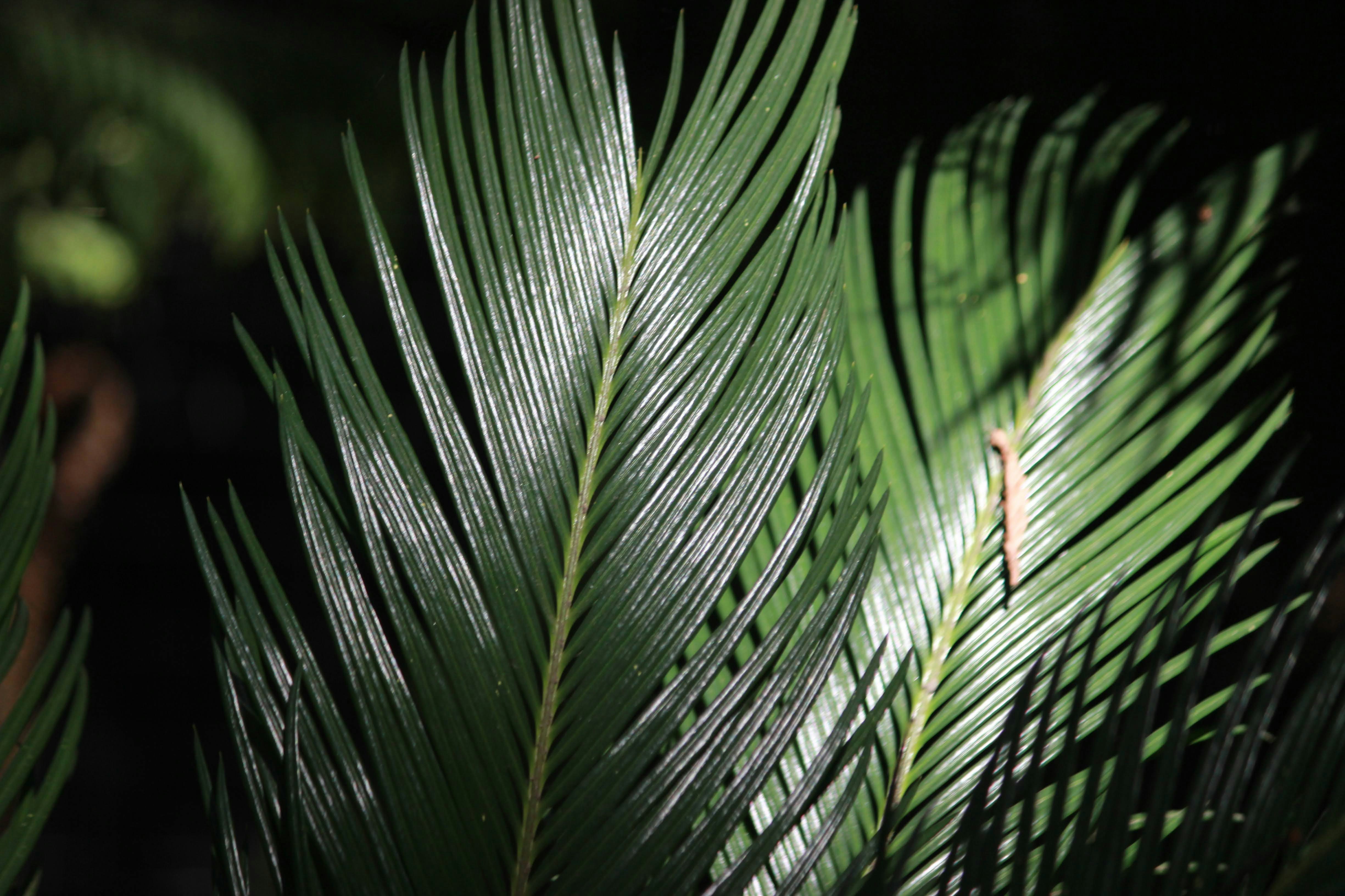 Photo by Robyn Louise with Canon EOS 600D