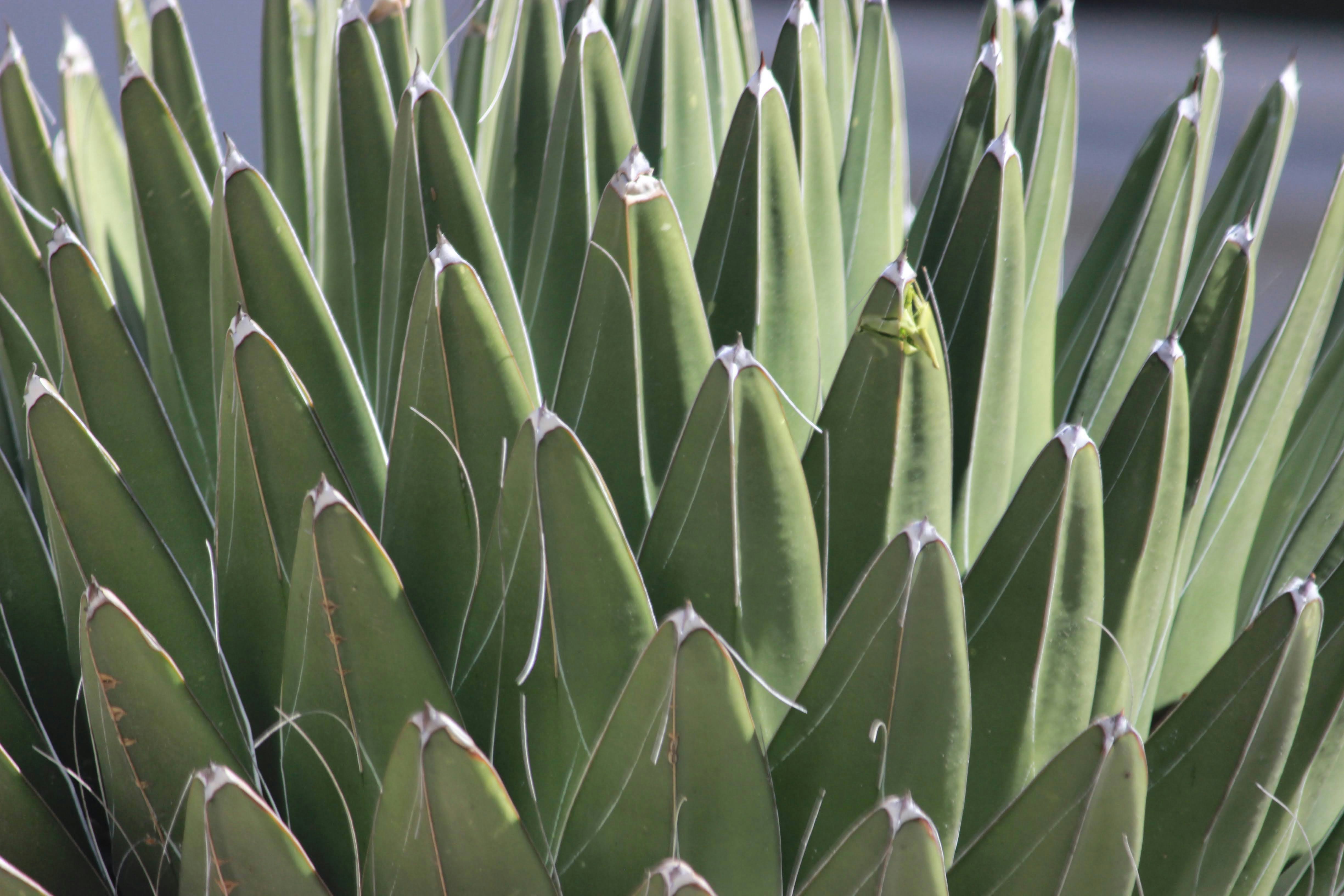 Photo by Robyn Louise with Canon EOS 600D