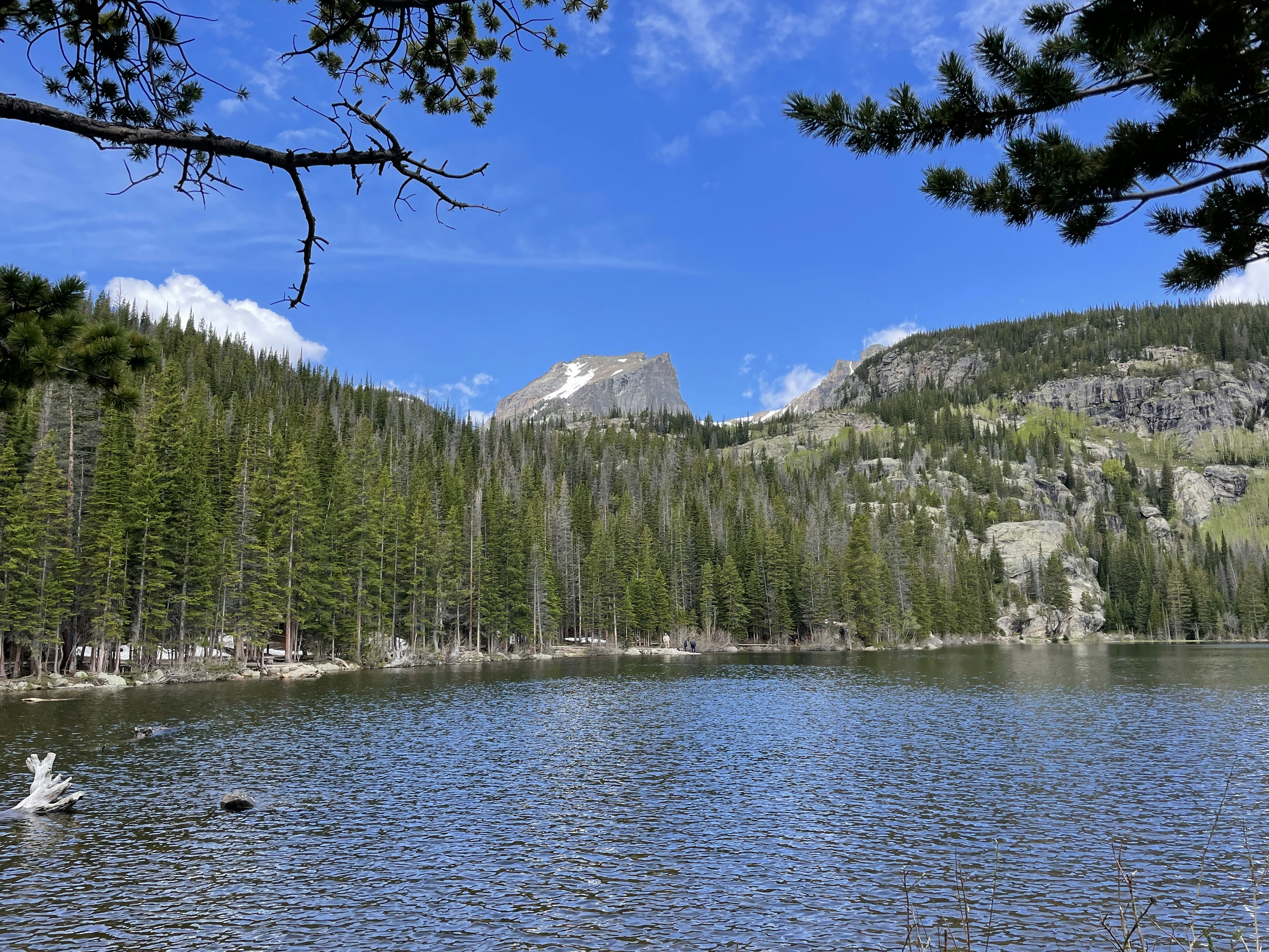 Geoff Chang (@gametime) | Communauté photos Unsplash