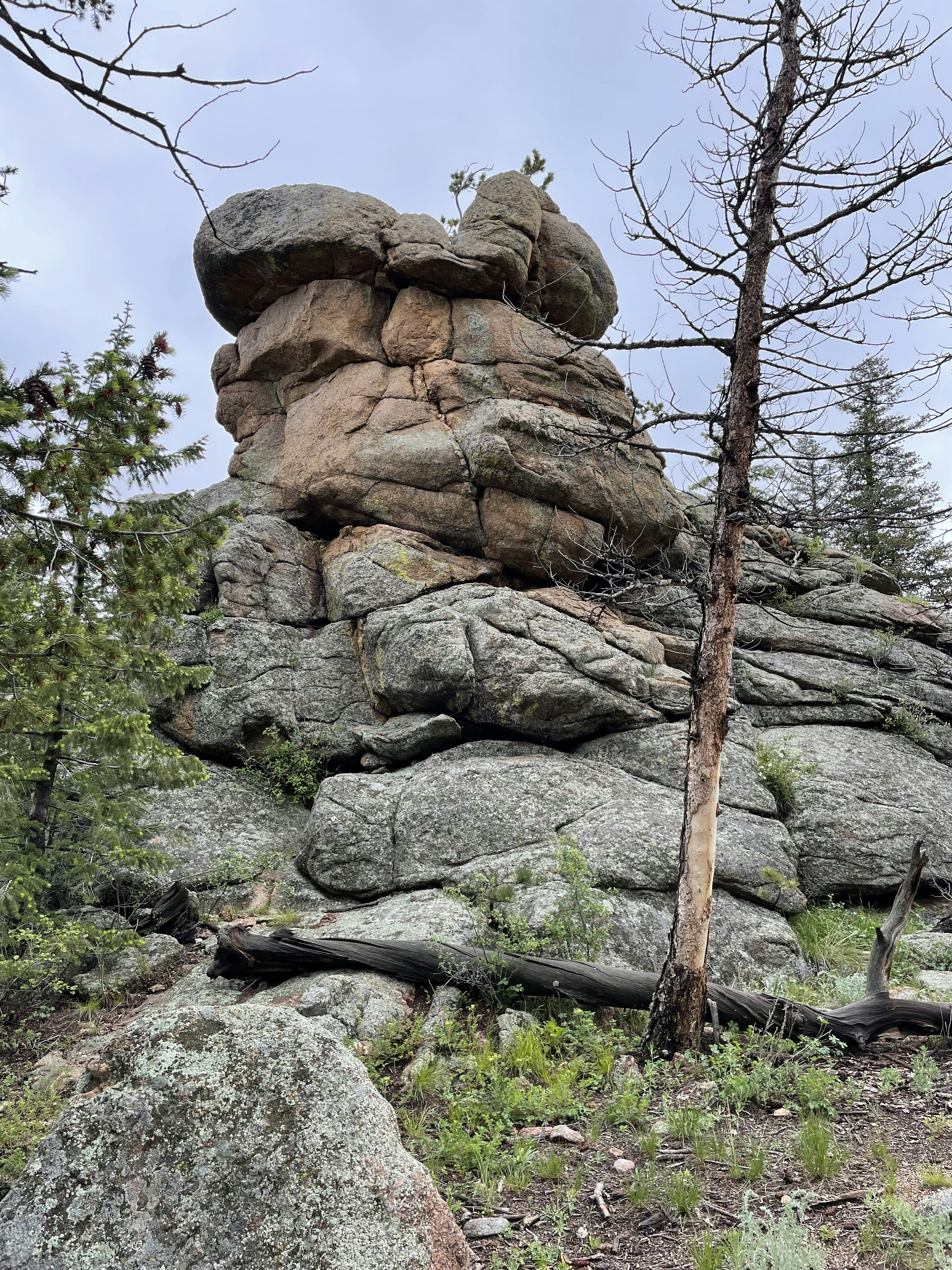 Geoff Chang (@gametime) | Communauté photos Unsplash