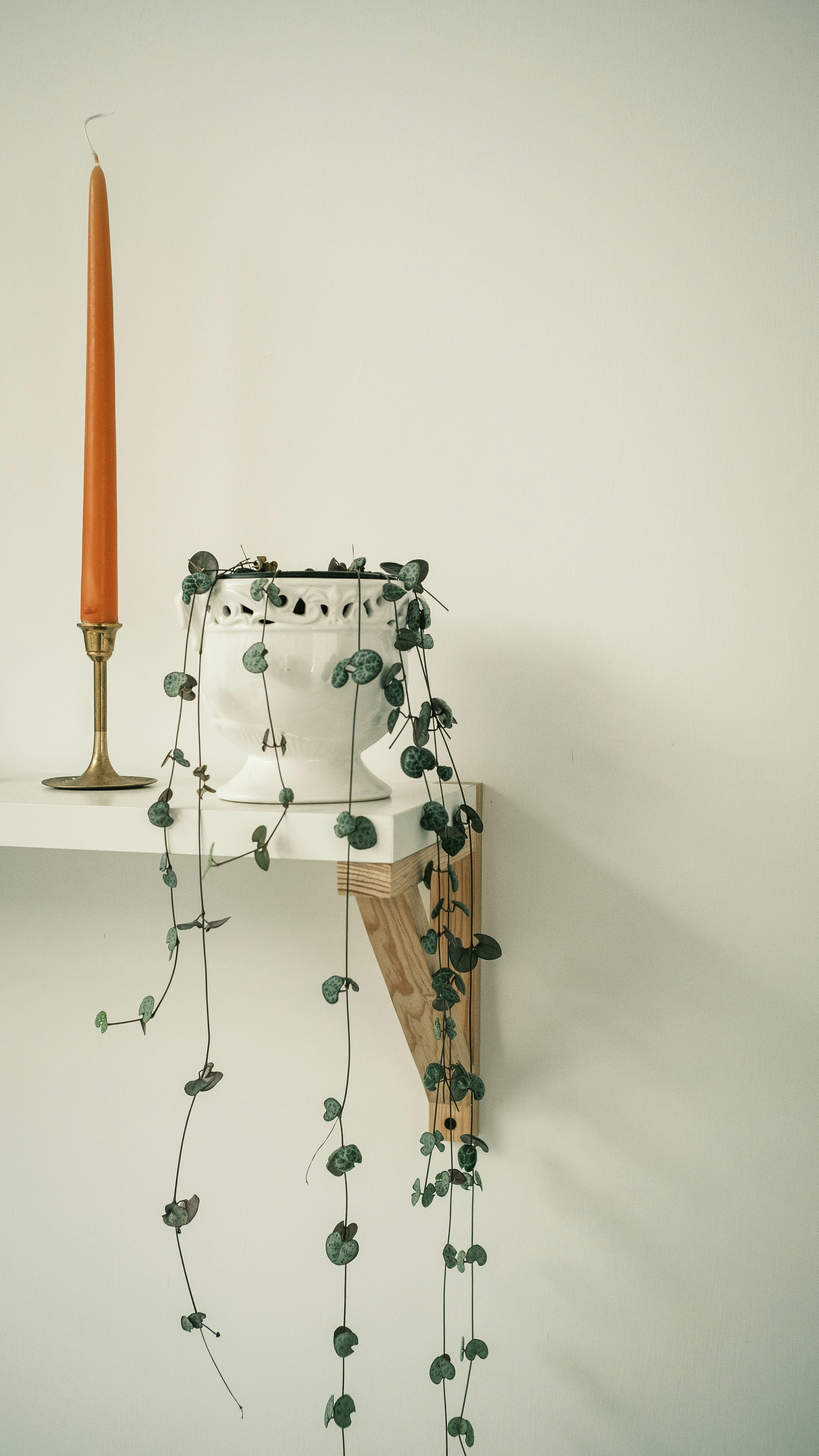 Amber Candle and Verdant Tendrils on a Minimal Shelf