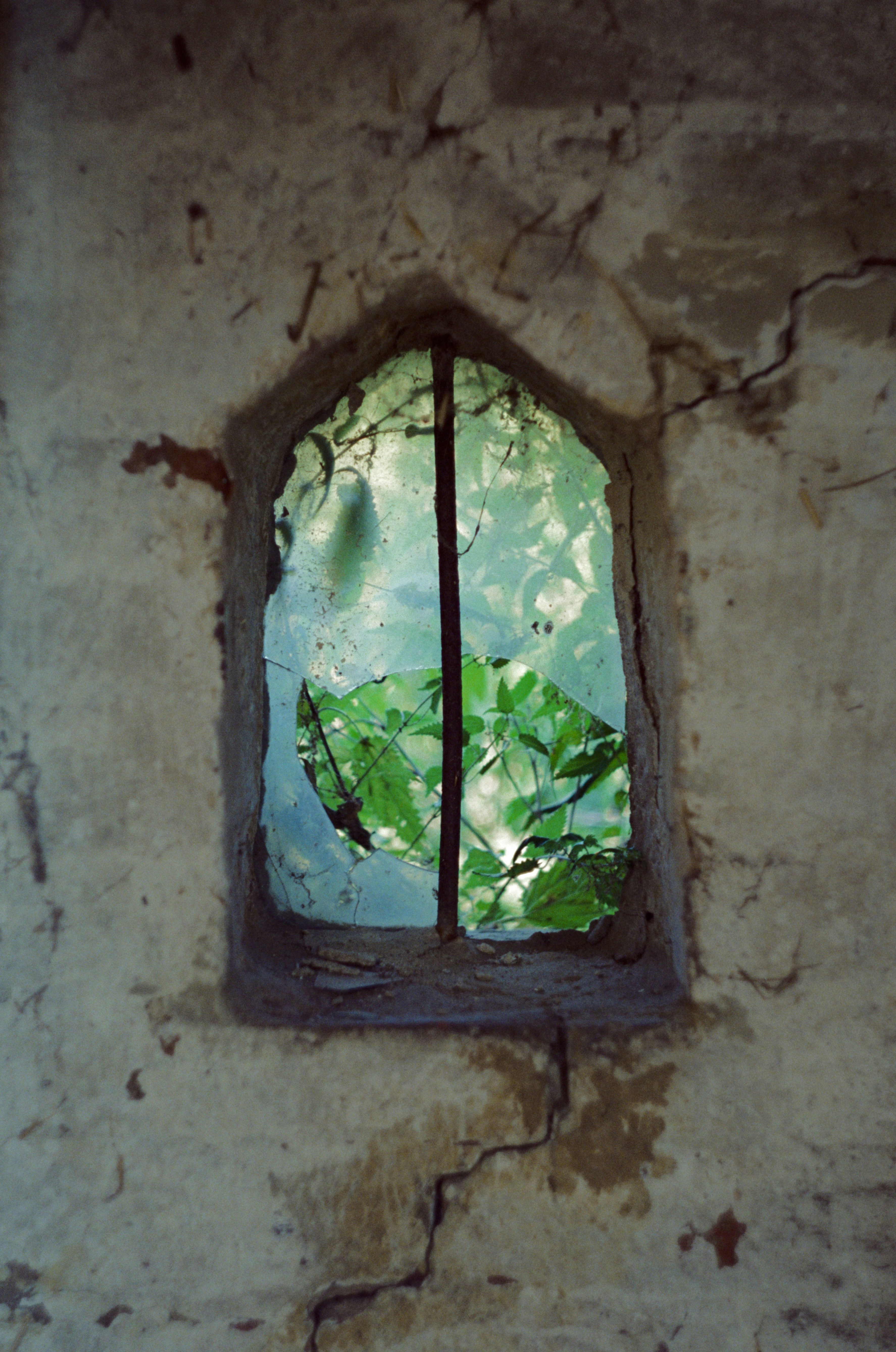 A picture of a tree through a window photo – Free Tula oblast Image on ...