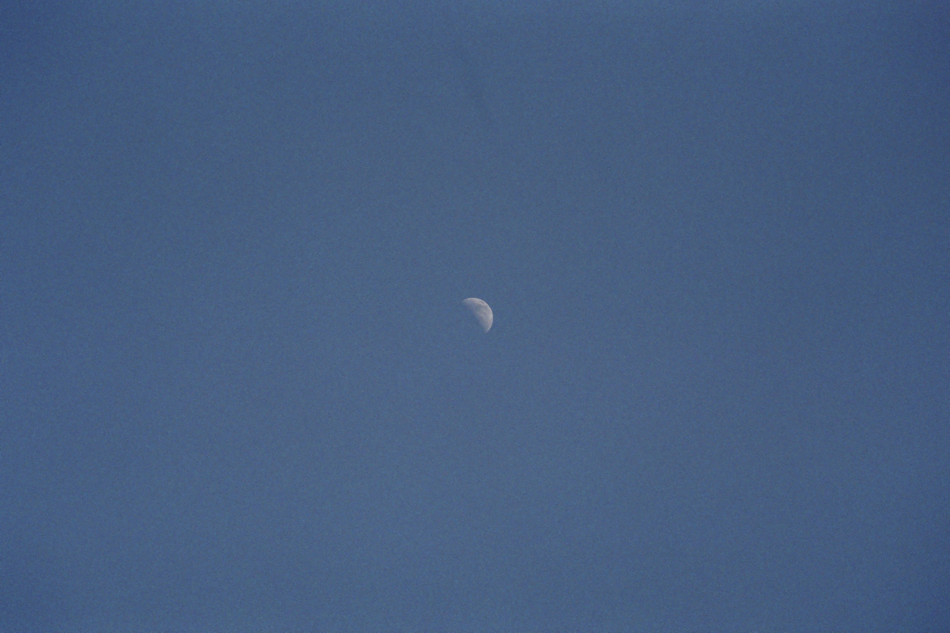 A plane flying in the sky with the moon in the distance photo – Free ...