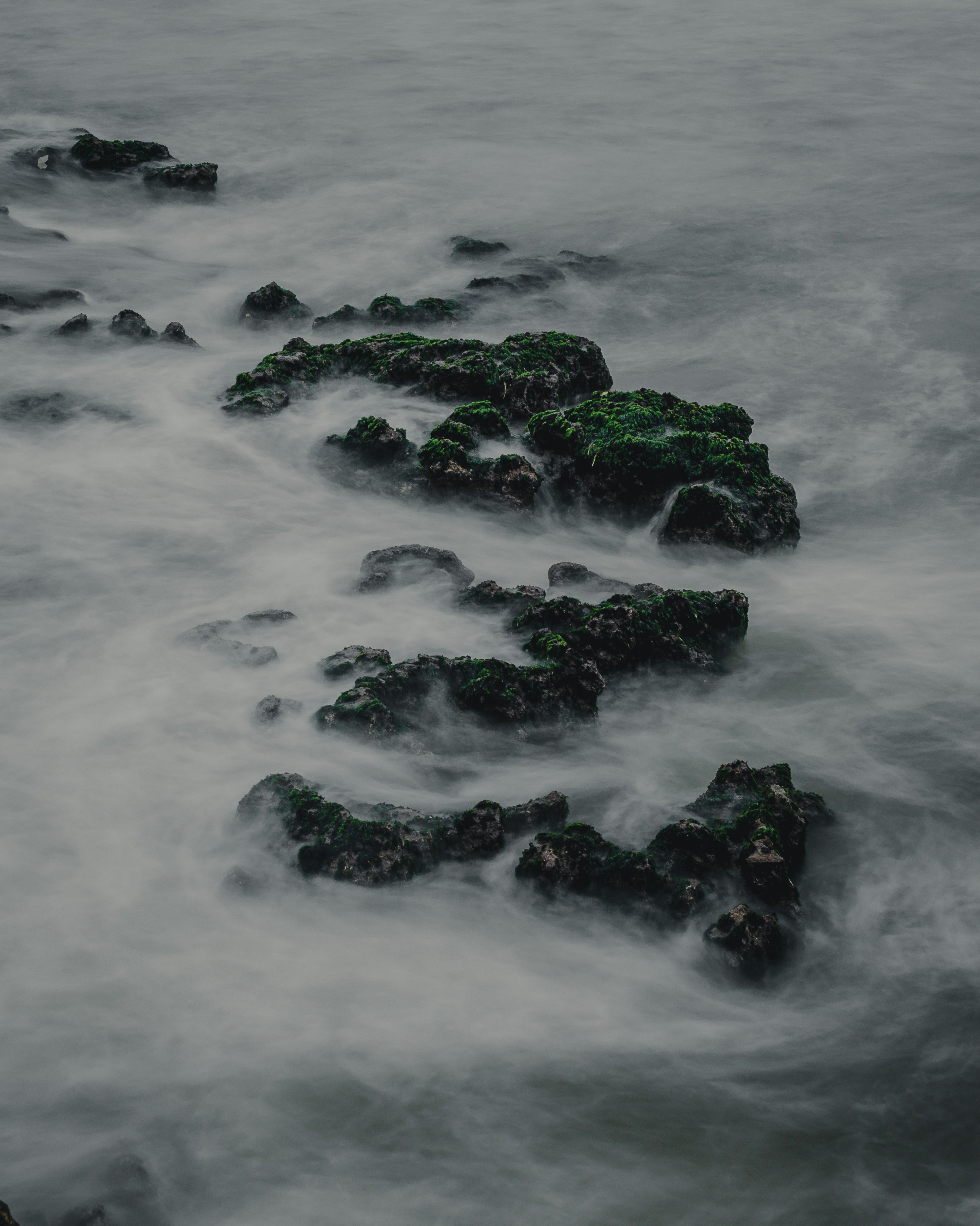 Coastal Rookery: Moss-Crowned Rocks in Mist