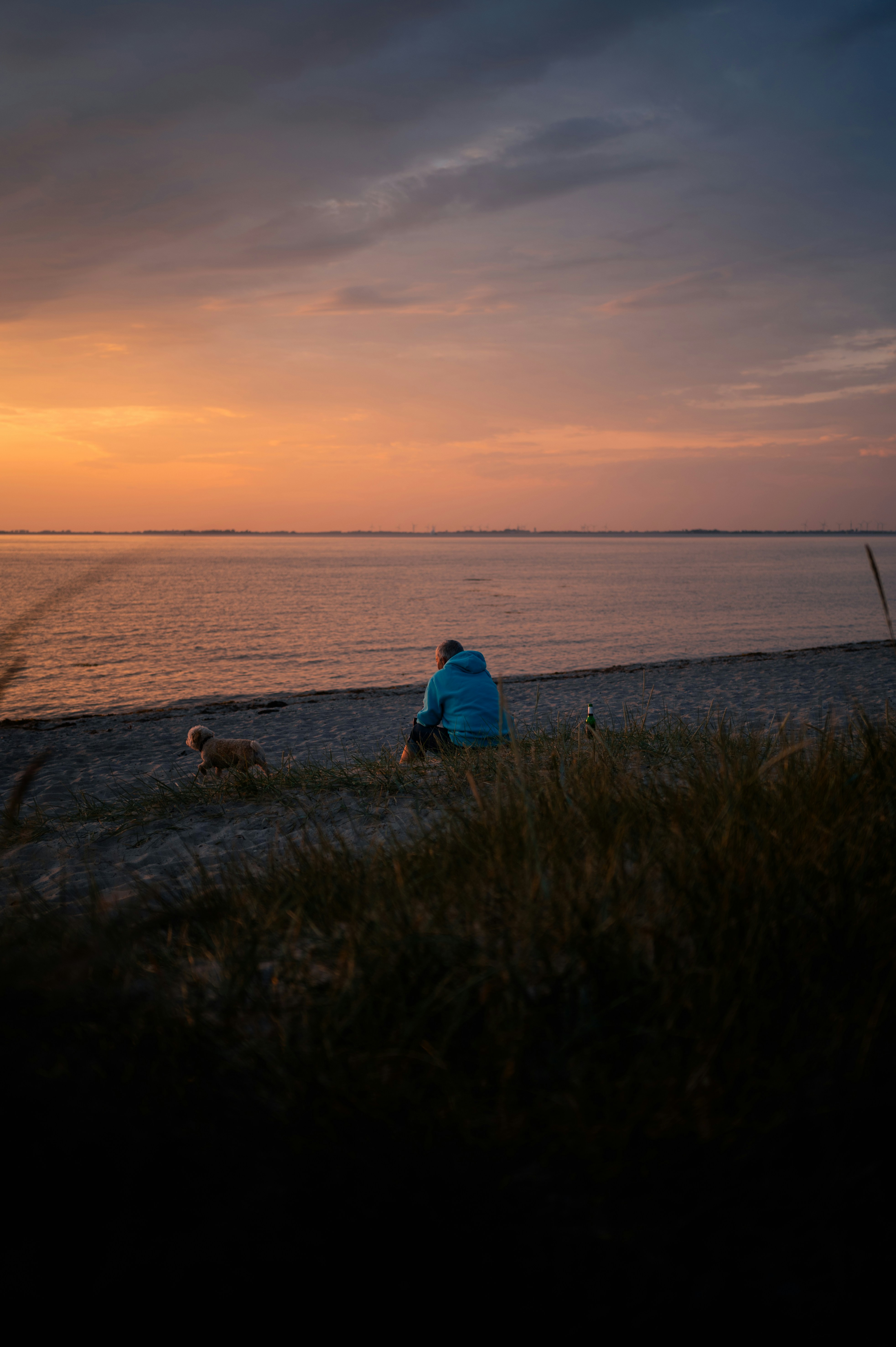 Blue at Dusk: A Quiet Shore Moment with a Dog