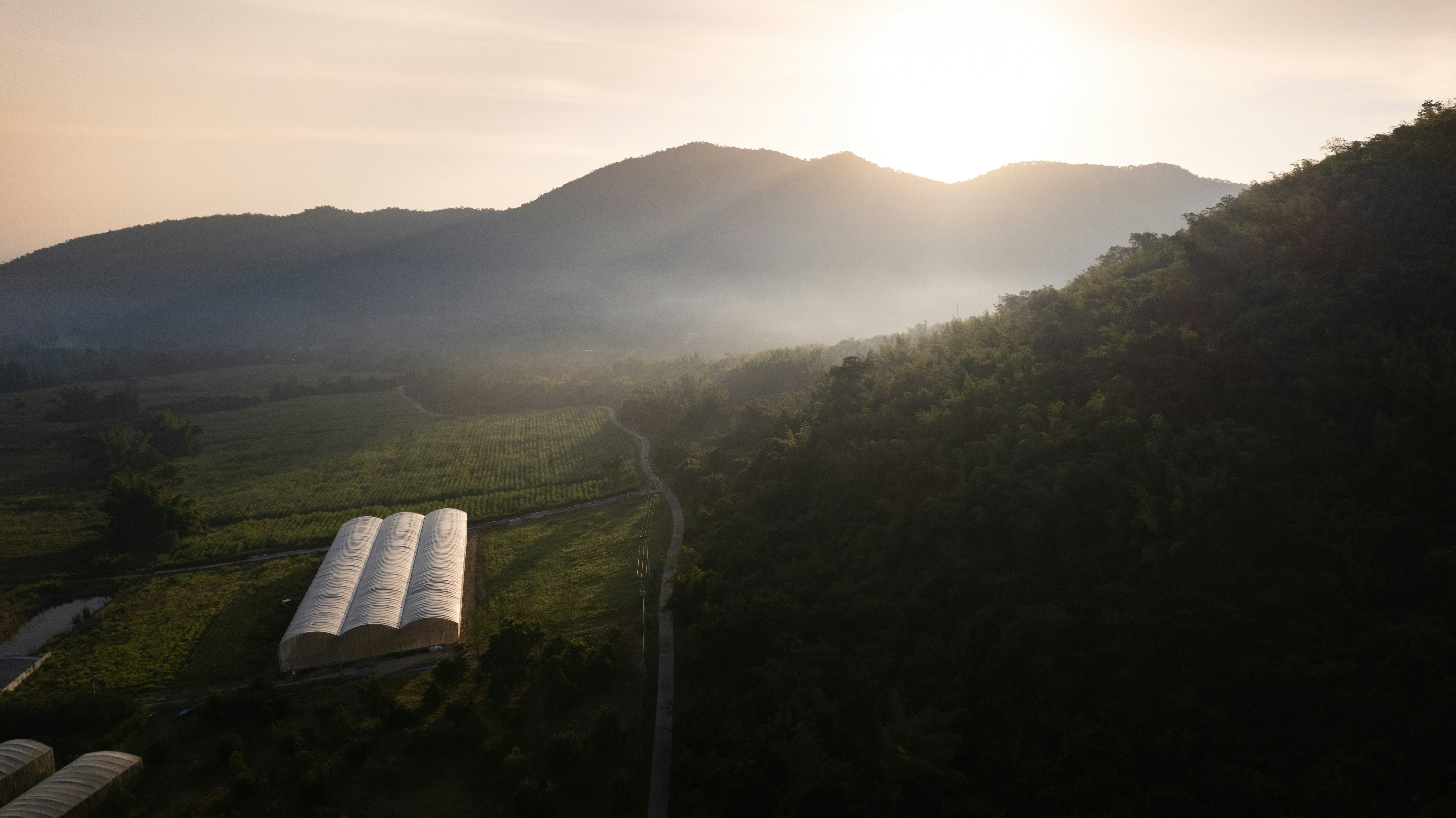 Sun rising over a lush valley with greenhouses and mountains in the distance.