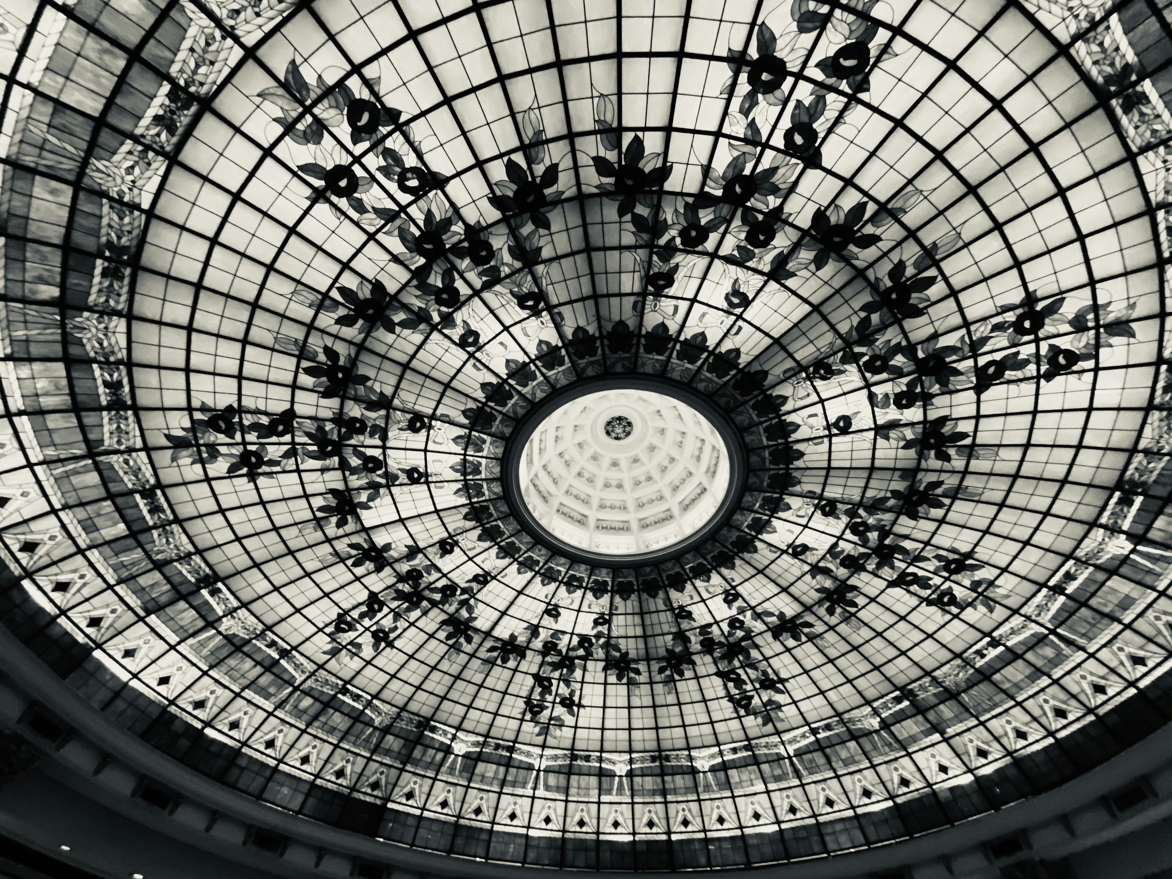 Abhinav Chitikela (@prof_awi) | Comunidade de fotos da Unsplash