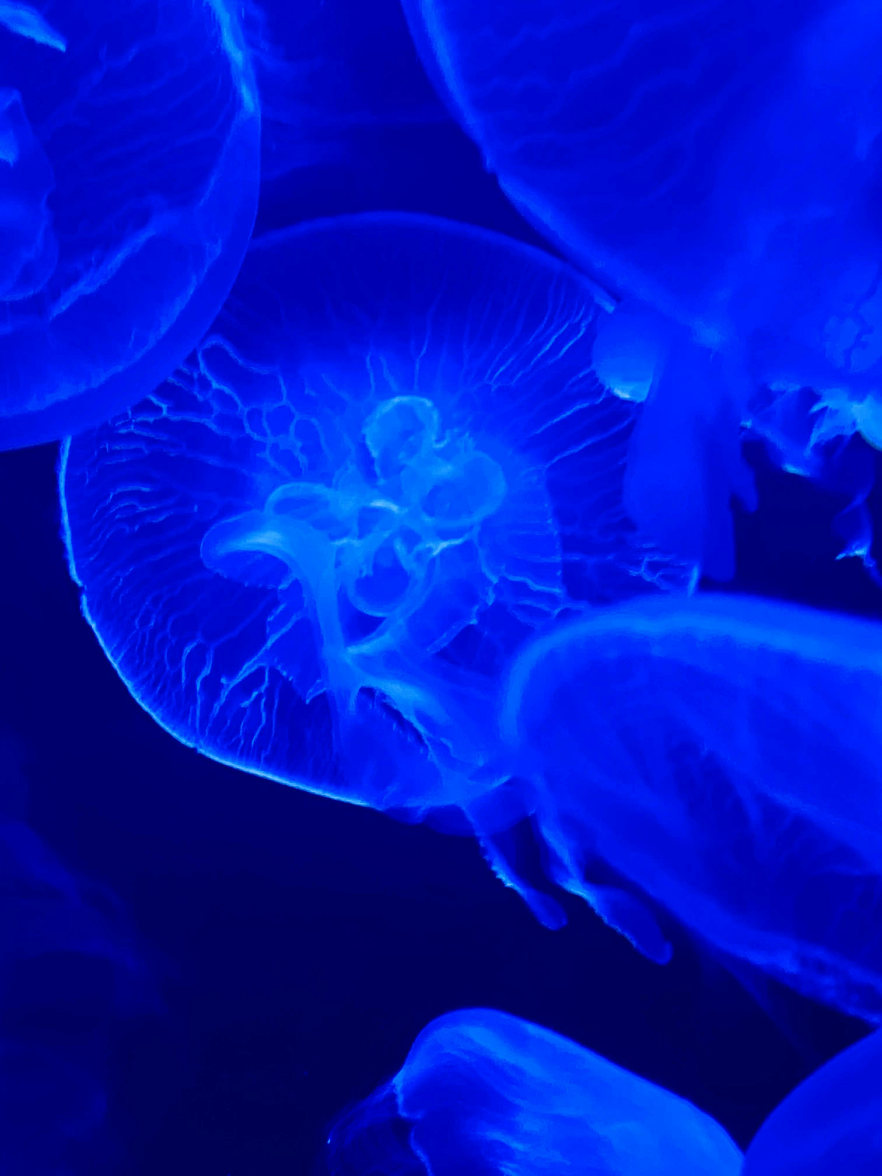 Maggie Hendrix (@lazyfancygirl) | Communauté photos Unsplash