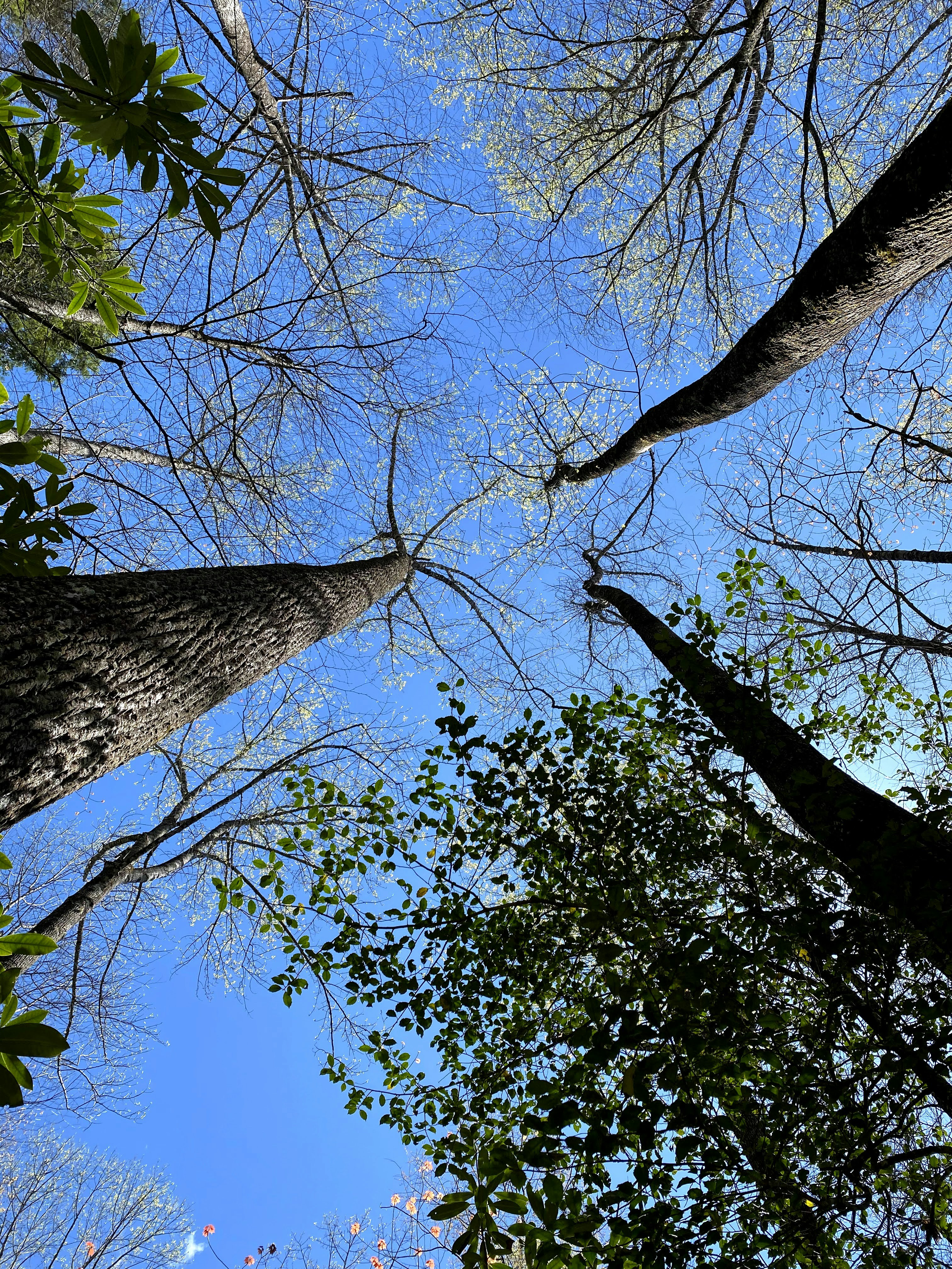 Maggie Hendrix (@lazyfancygirl) | Communauté photos Unsplash