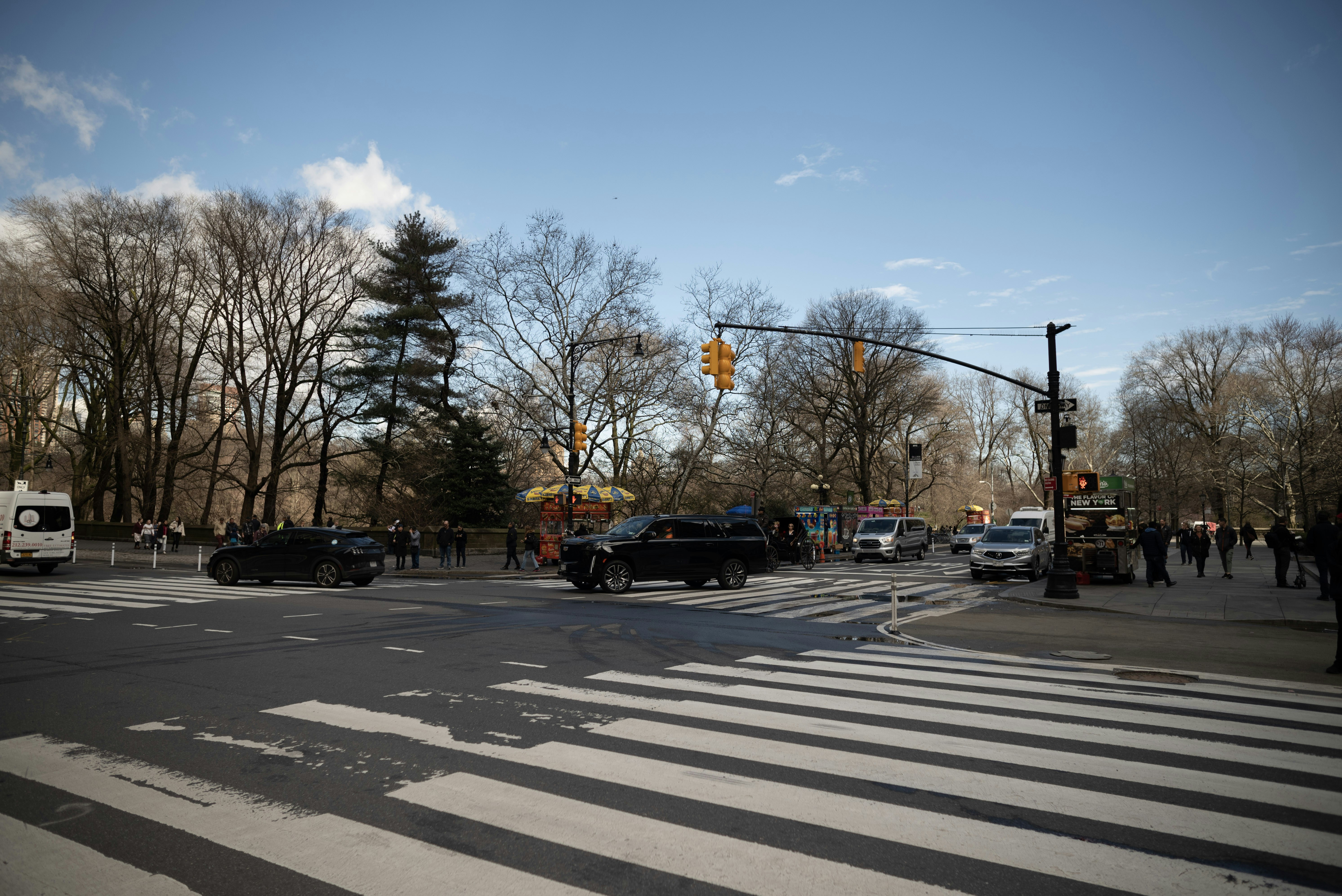 Busy Crosswalk With Cars