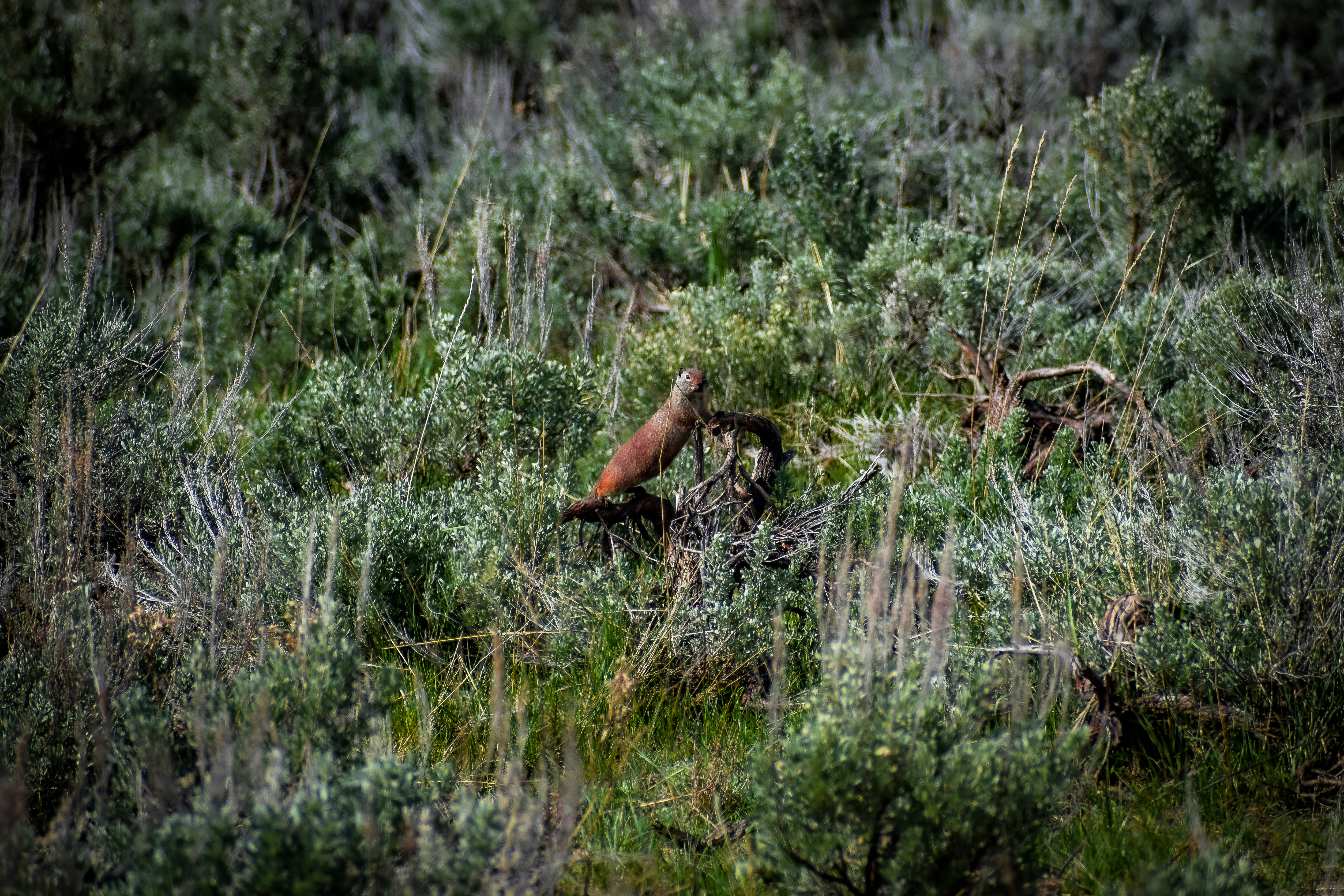Keeping an eye out.
