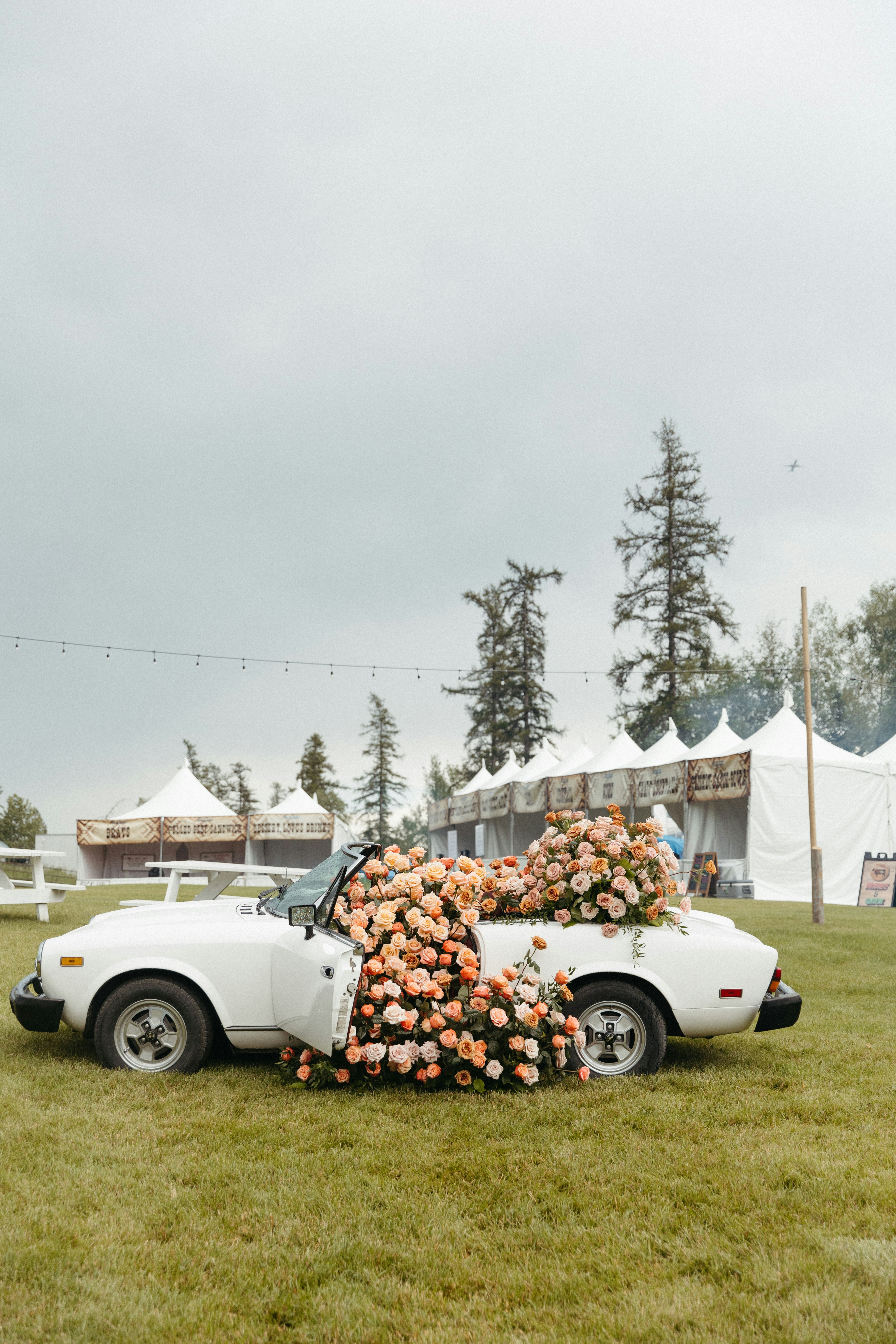 Peachy blooms meet a vintage white convertible at a sunlit festival field