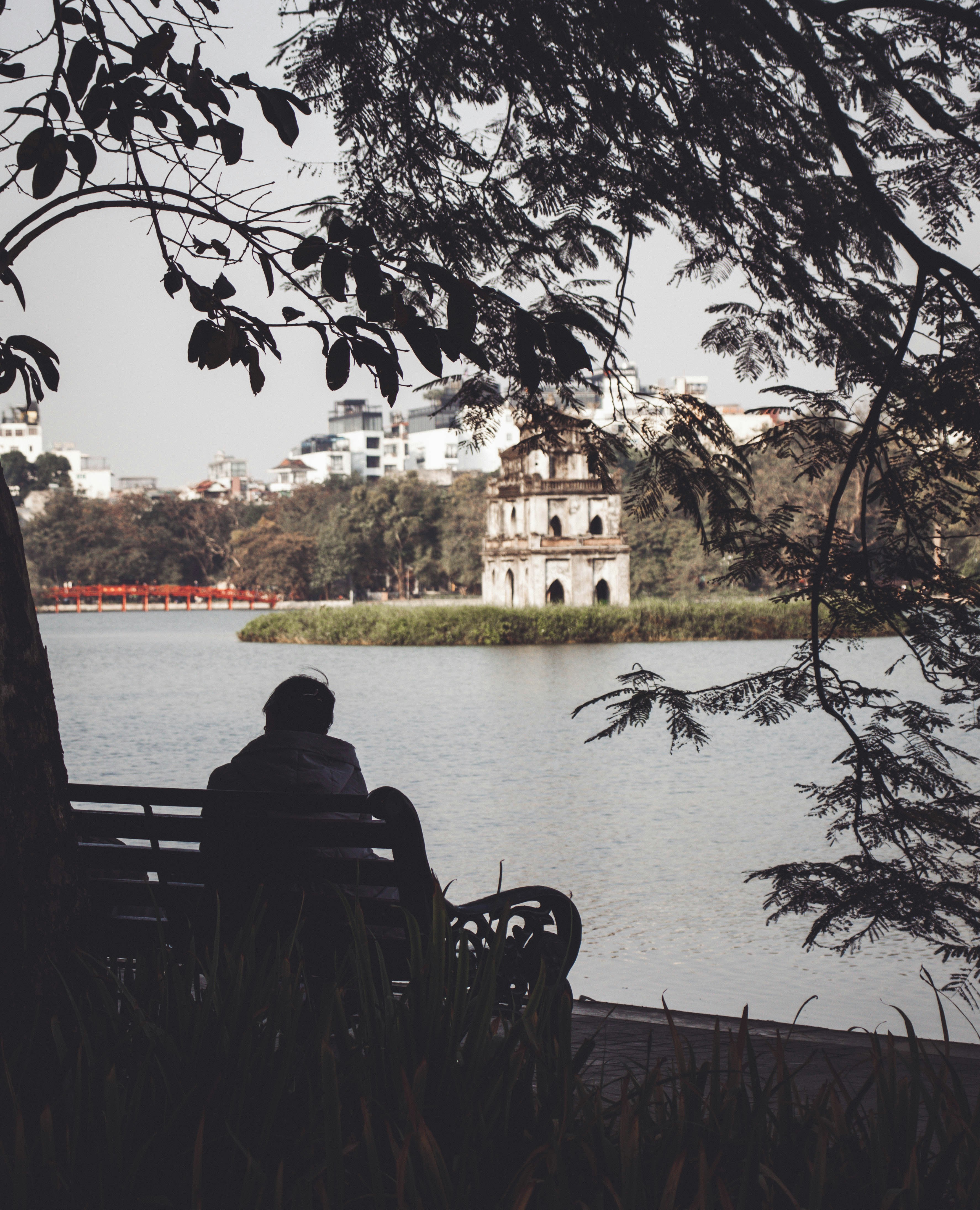 Benchbound Silence by the Lake: Silhouette and the Island Pagoda