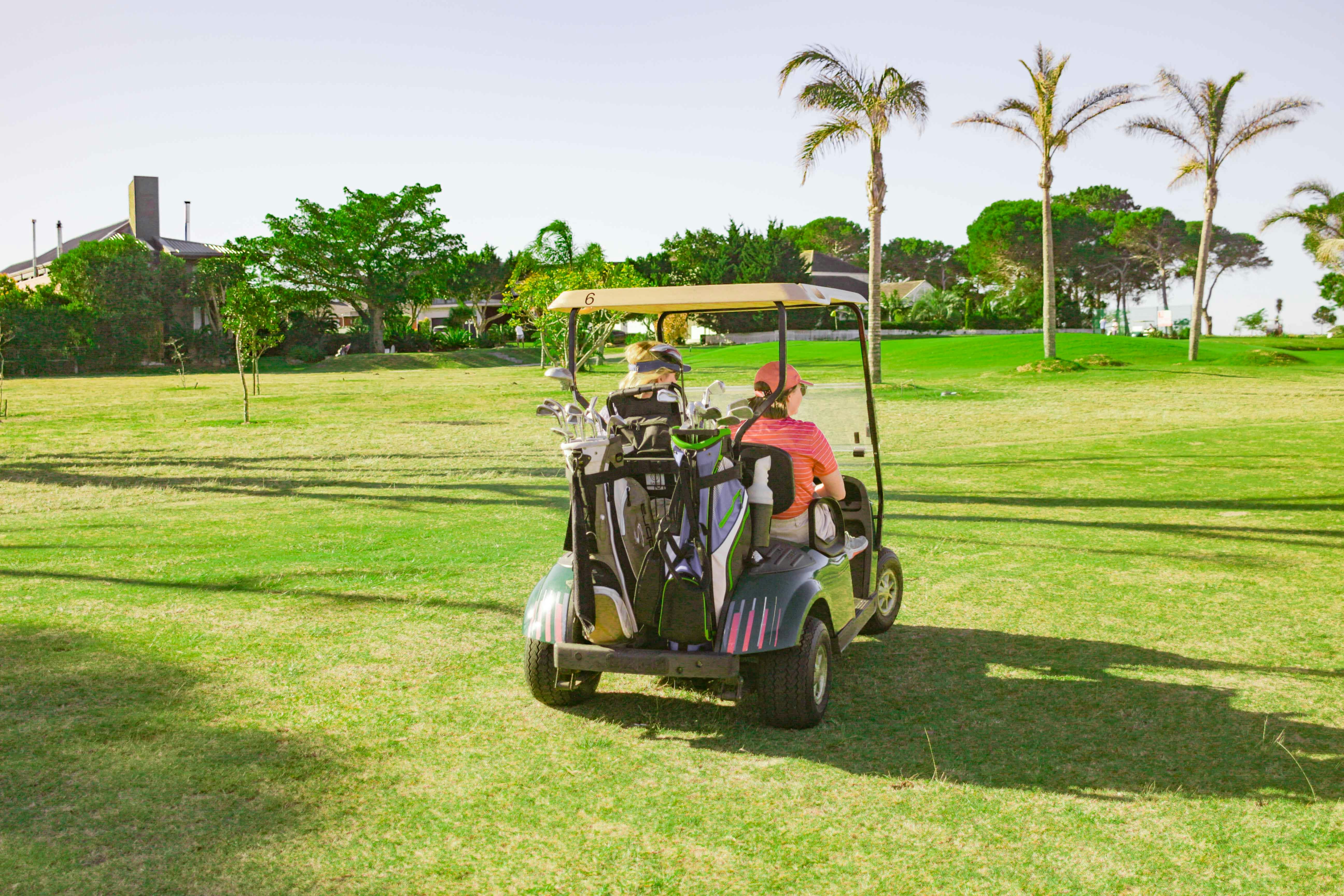 Sunlit Greenway Serenade: A Golf Cart Quietly Traverses the Palm-Lined Fairway