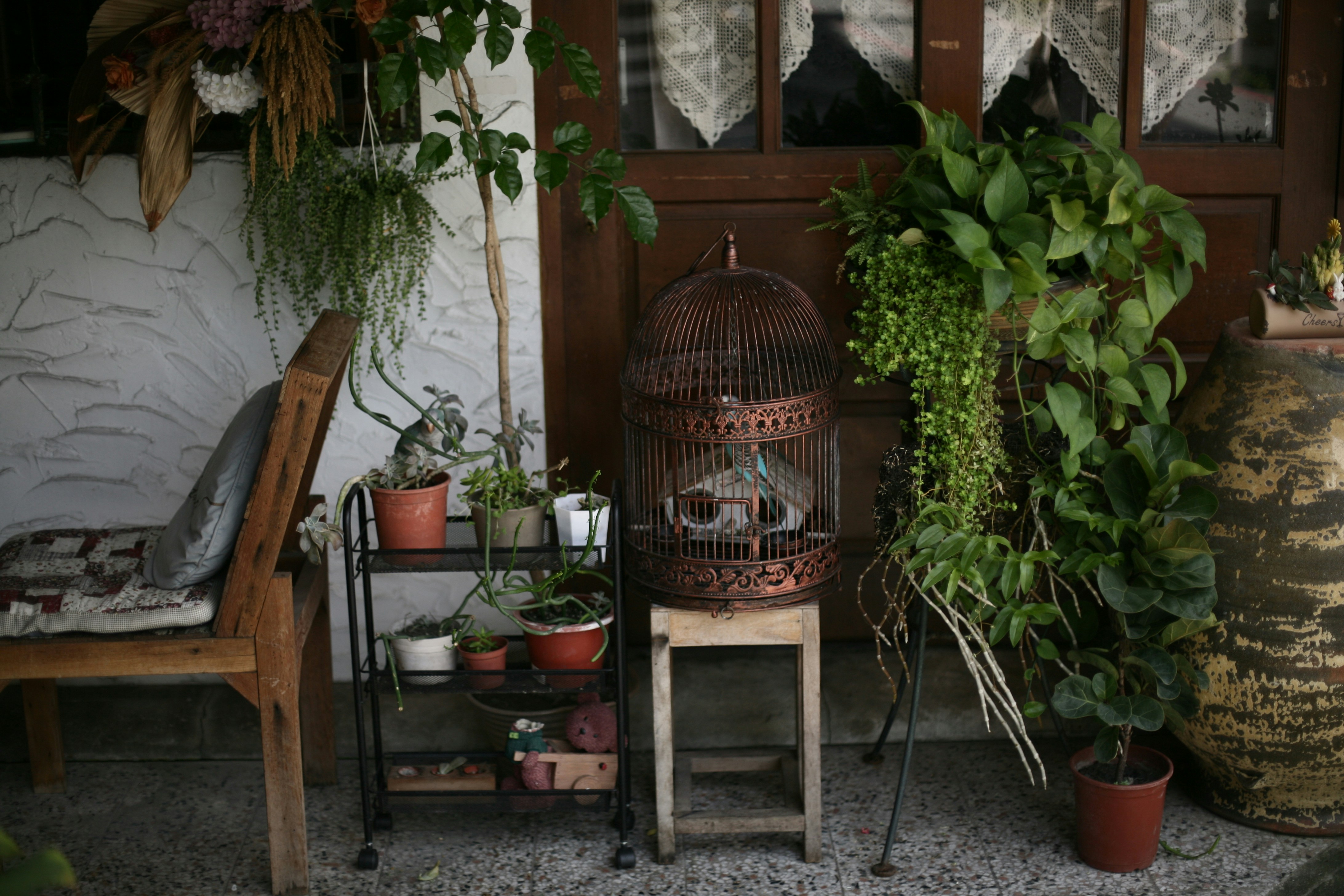 Rustic Porch Foliage Framed by a Woven Birdcage