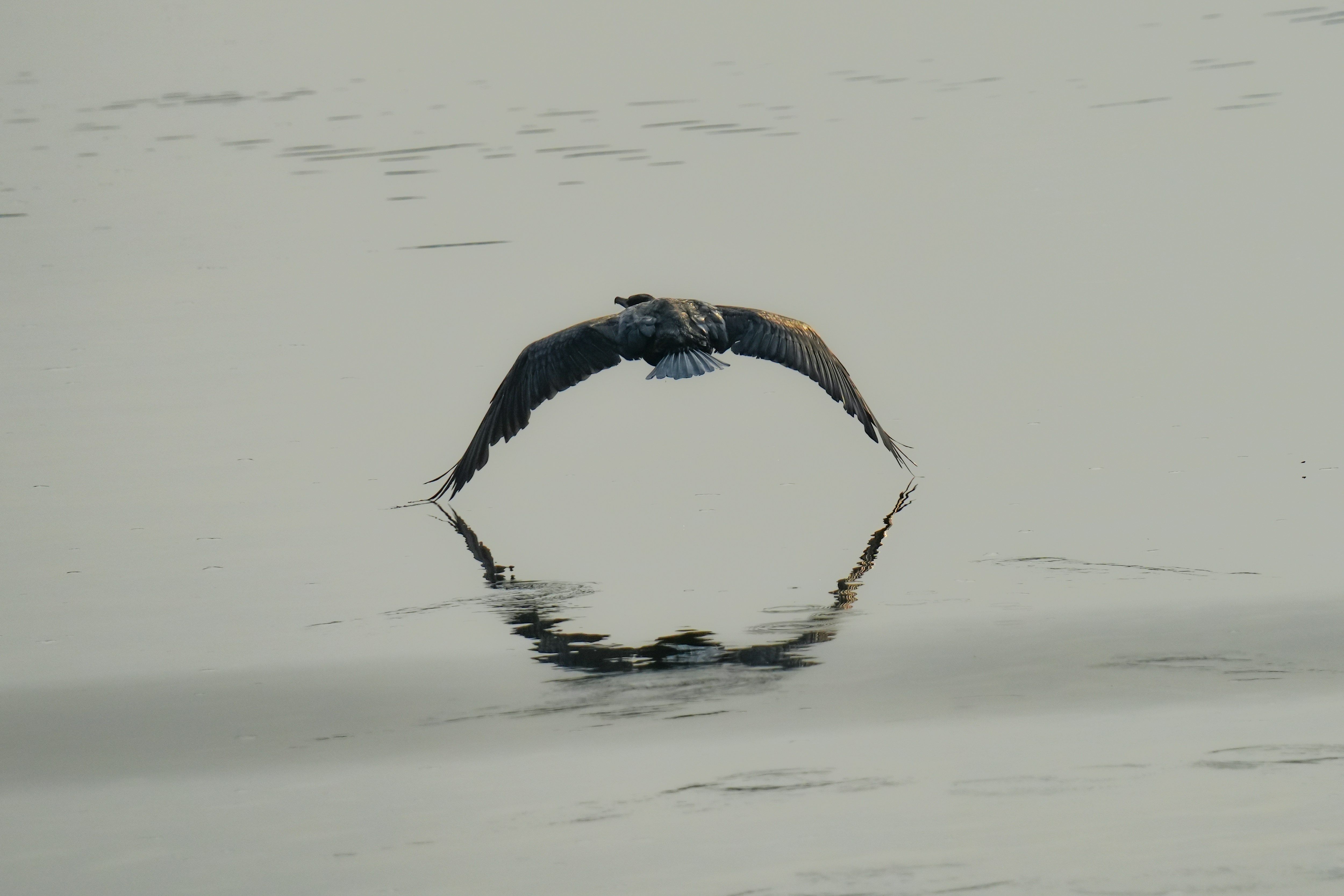 Photo by daejeung Kim with Sony Alpha 7R V