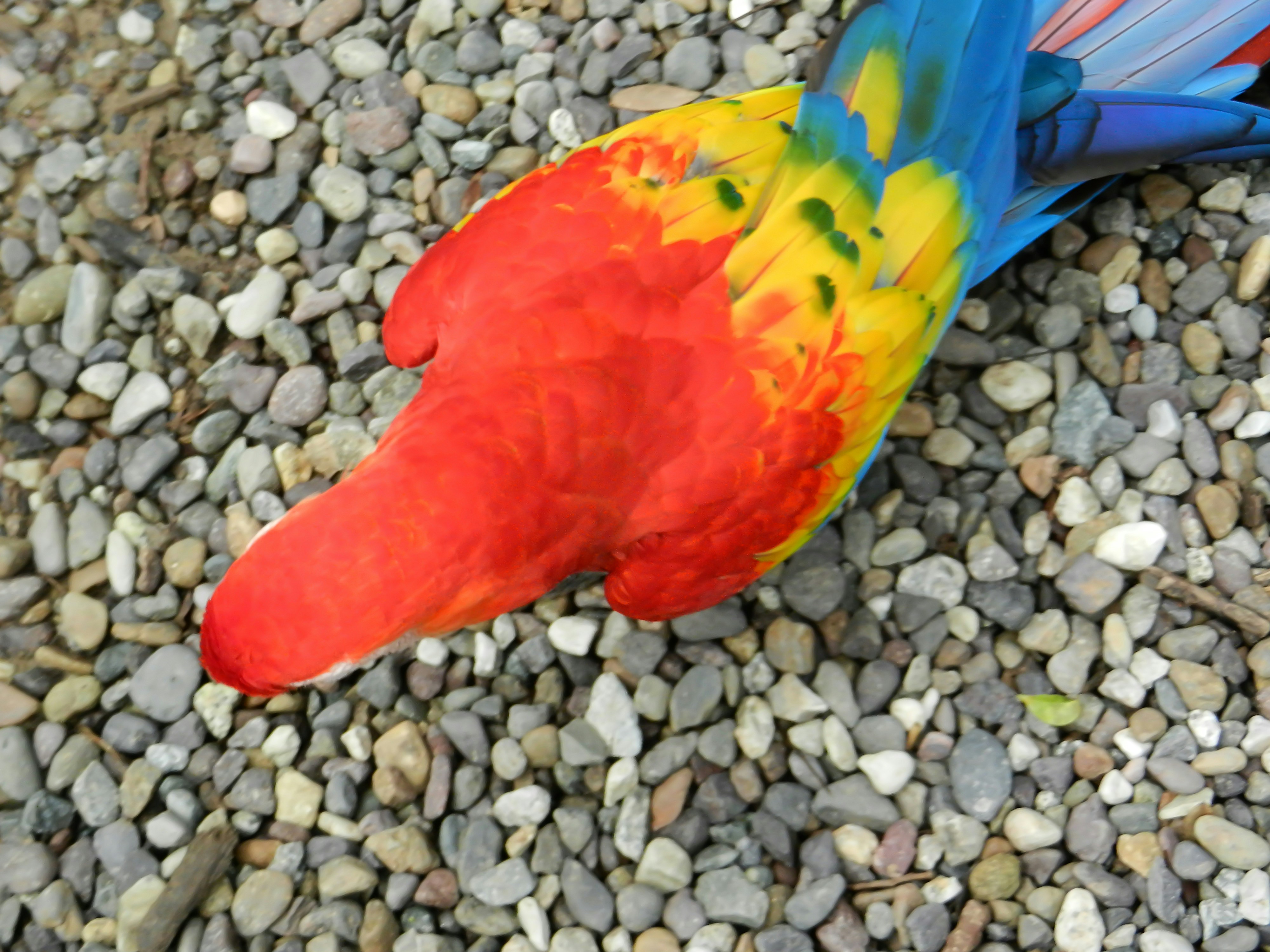 Photo by Jean Woloszczyk with Nikon Coolpix S9100