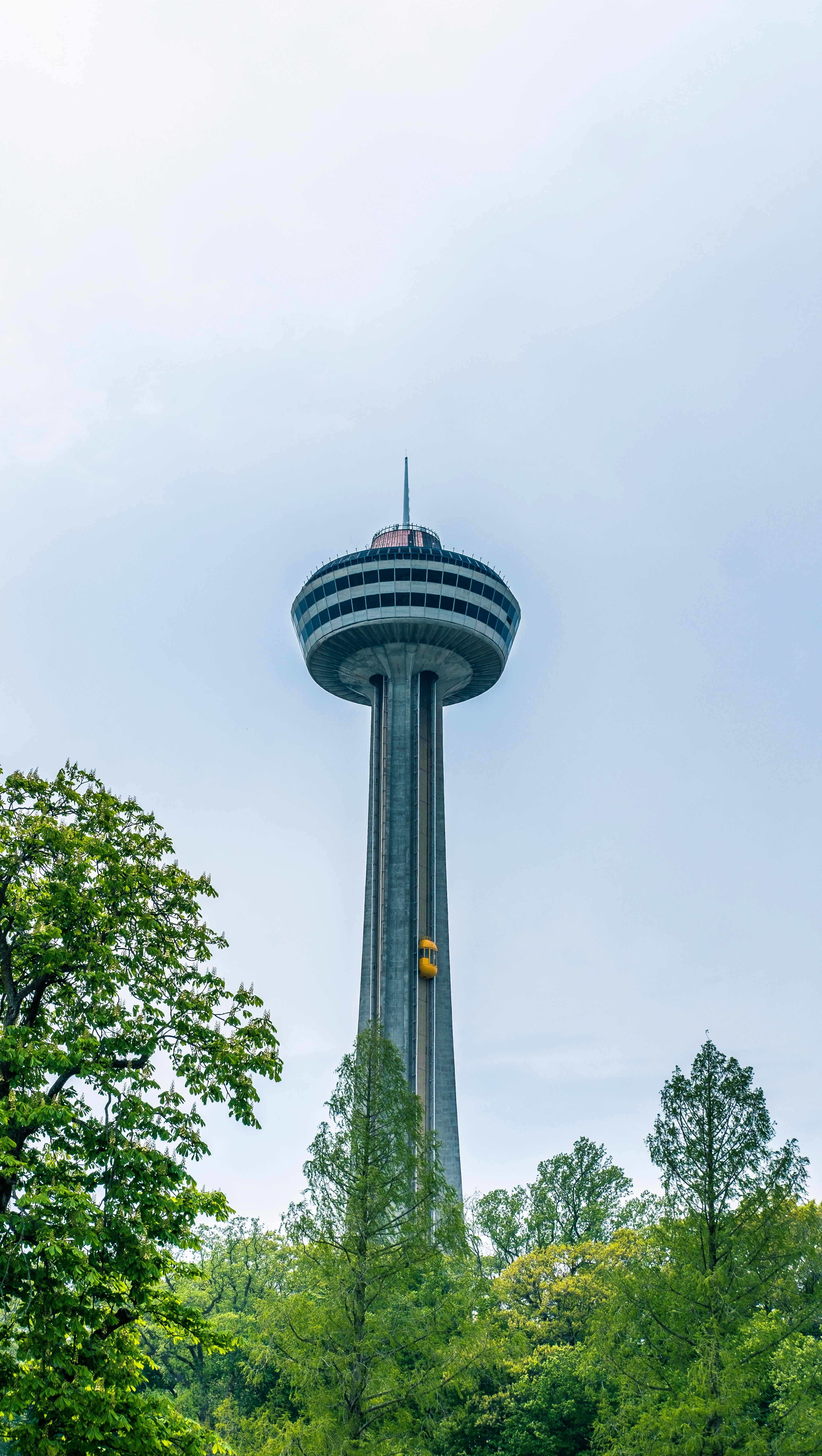 Berlin’s Sky Needle: The TV Tower Rising Over a Lush Canopy