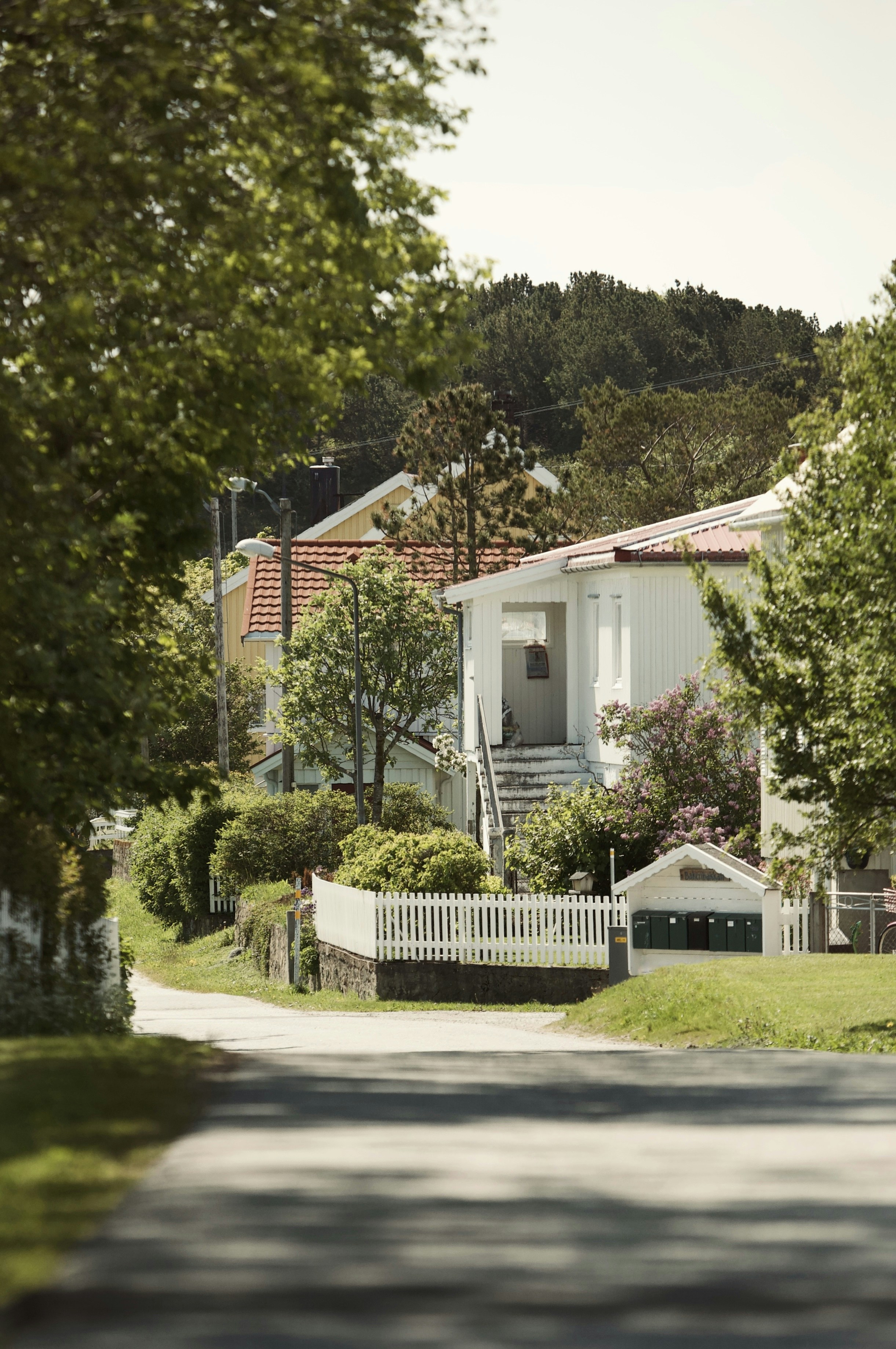 Street view in Abelvær, Norway. This street is filled with trees, bushes and flowers, and in this coastal village, it do not exist a house without vintage outdoor decor.