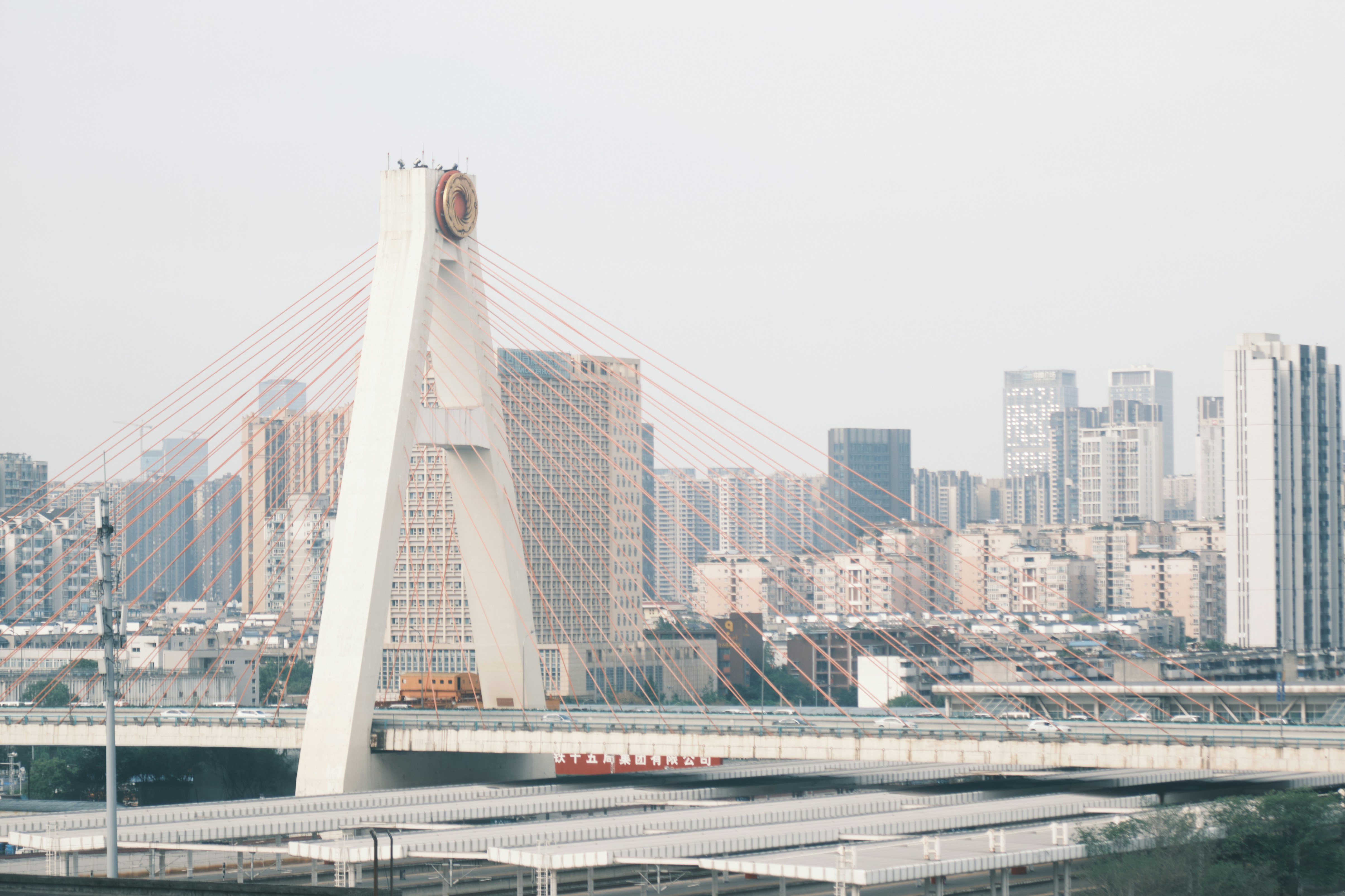 A very tall bridge over a large city photo – Free 成都市 Image on Unsplash