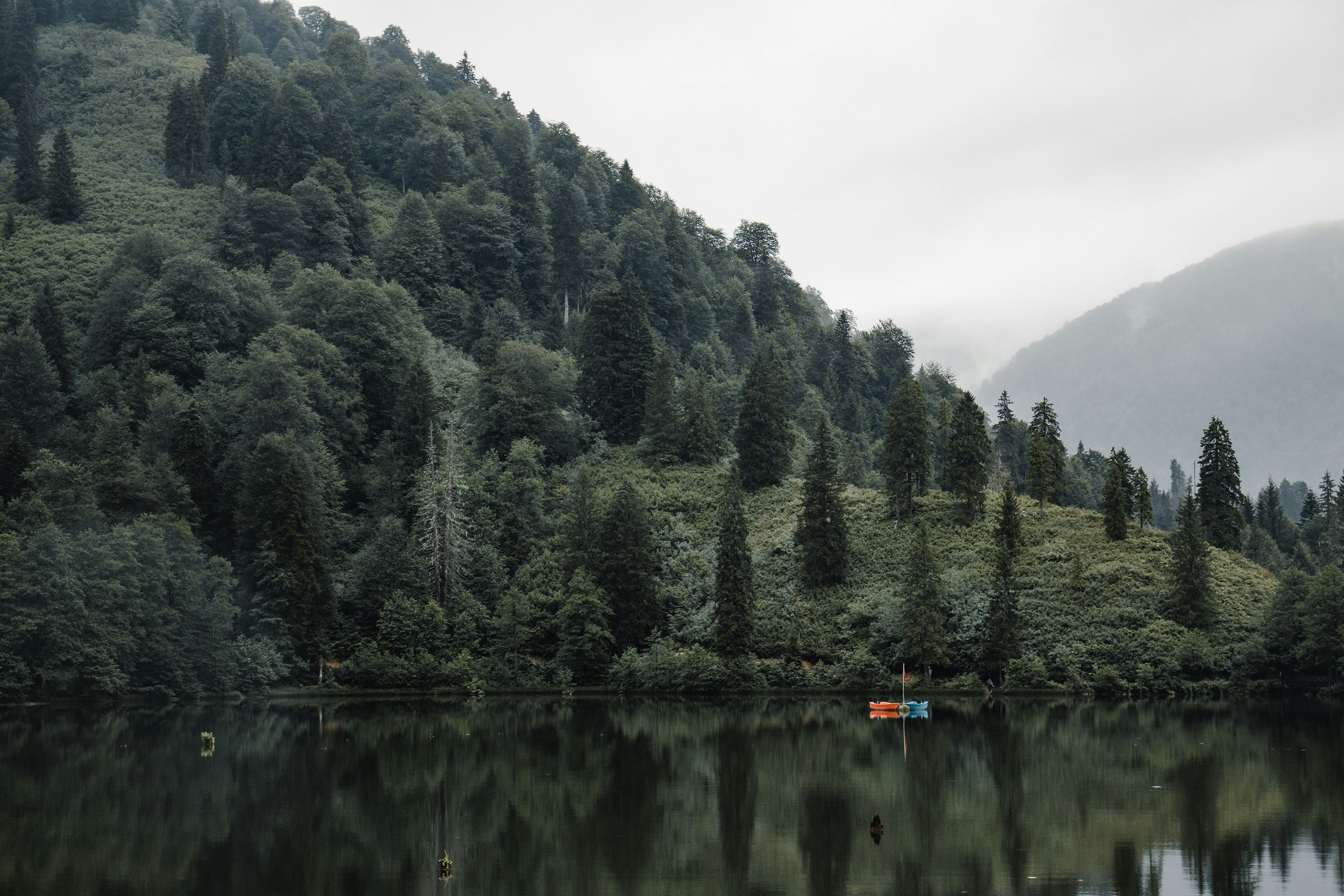 Calm lake bordered by lush green forest under an overcast sky.