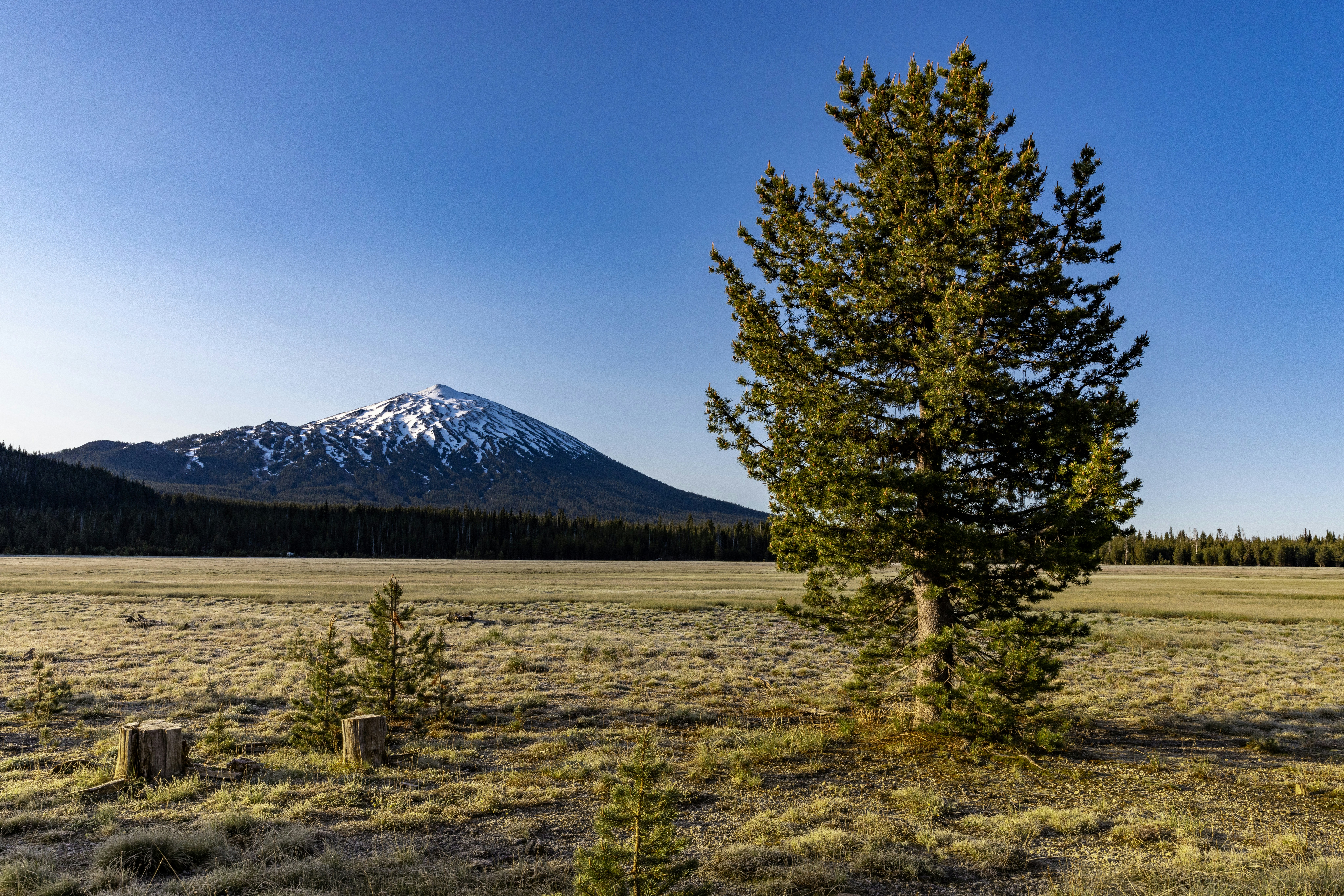 Exploring along the Cascade Lakes National Scenic Byway in the Cascades above Bend, Oregon. Beautiful terrain.