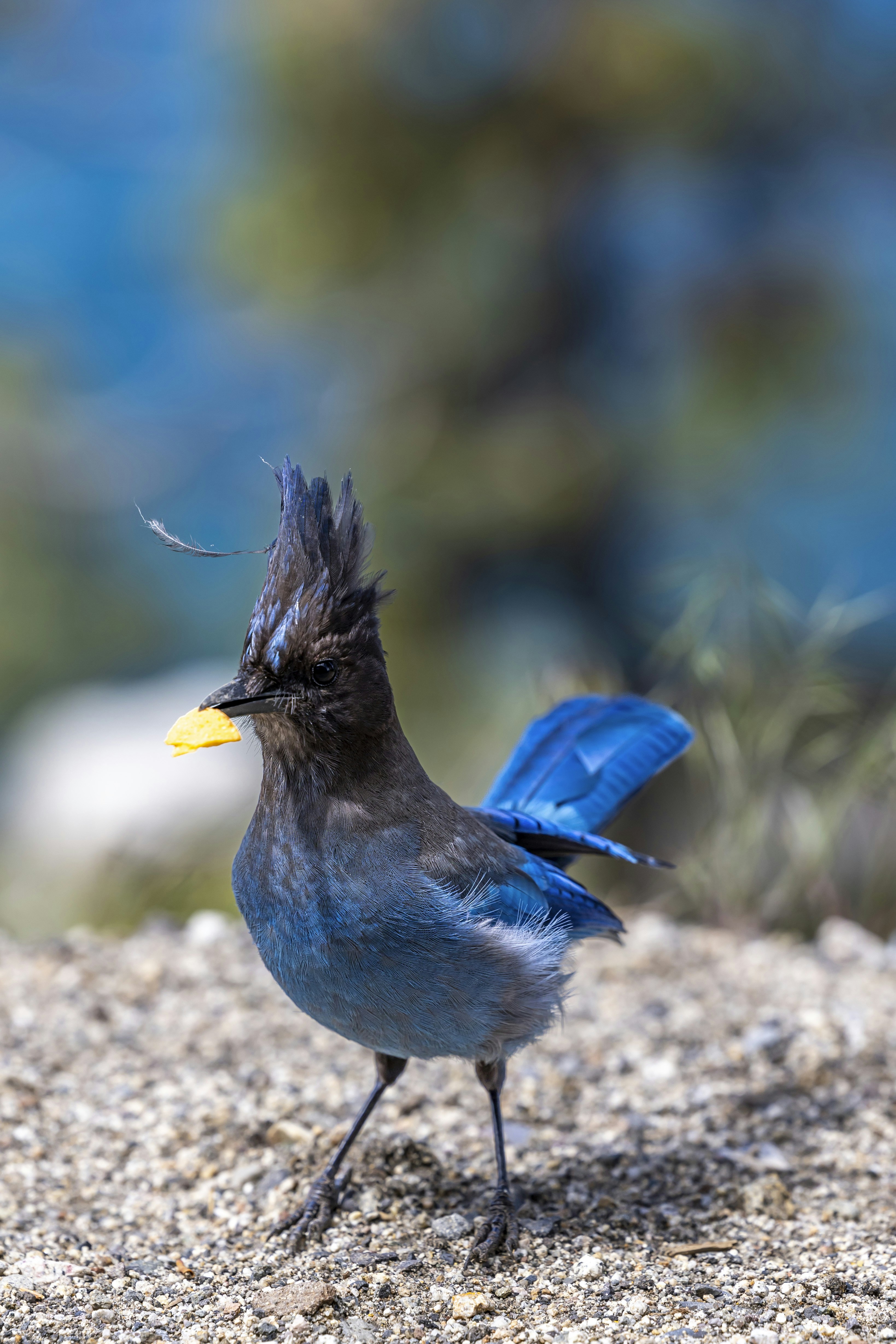 Photo by Leo_Visions with Canon EOS R3