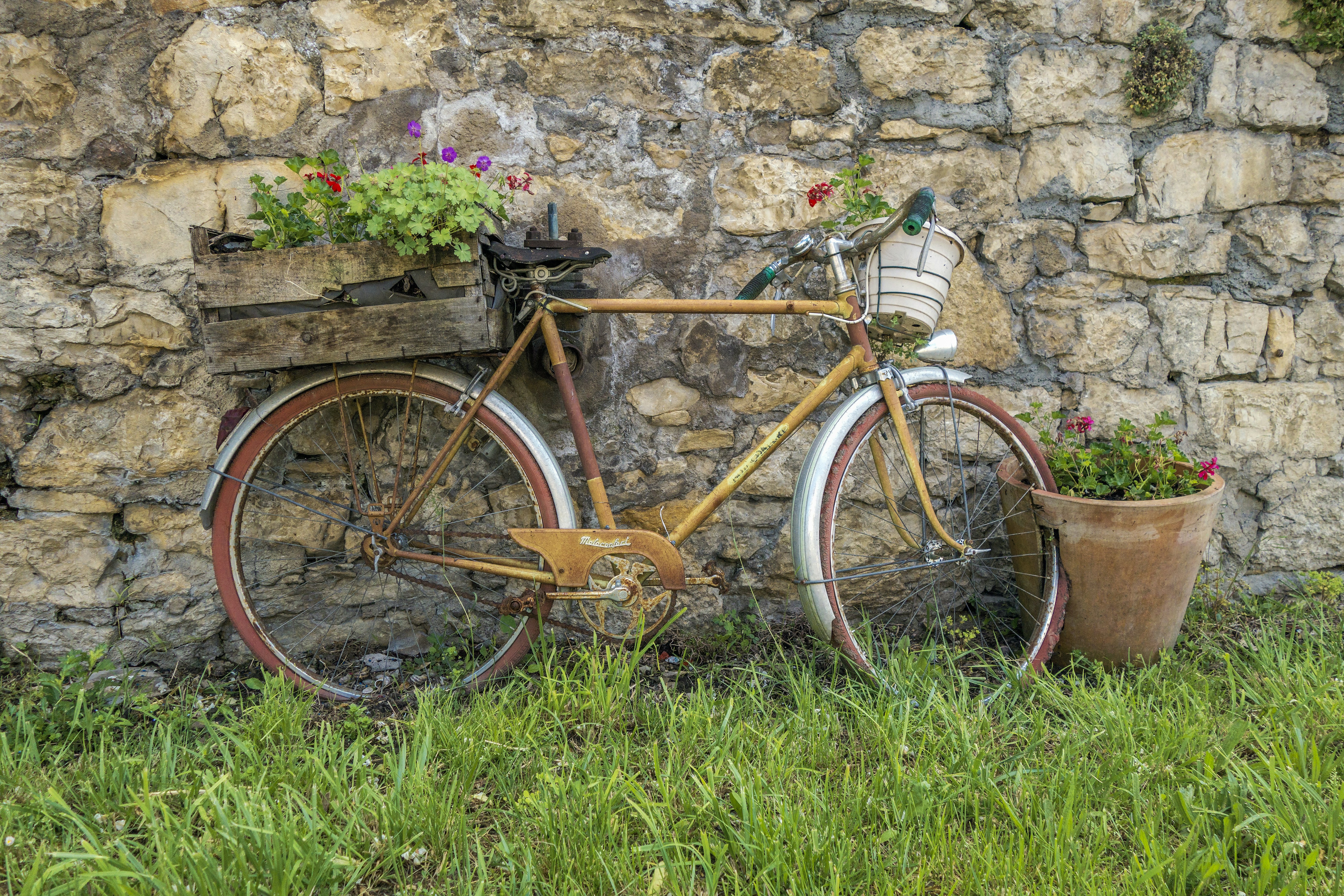 Rusted Rider by the Stone Wall: A Bicycle Laden with Flowers