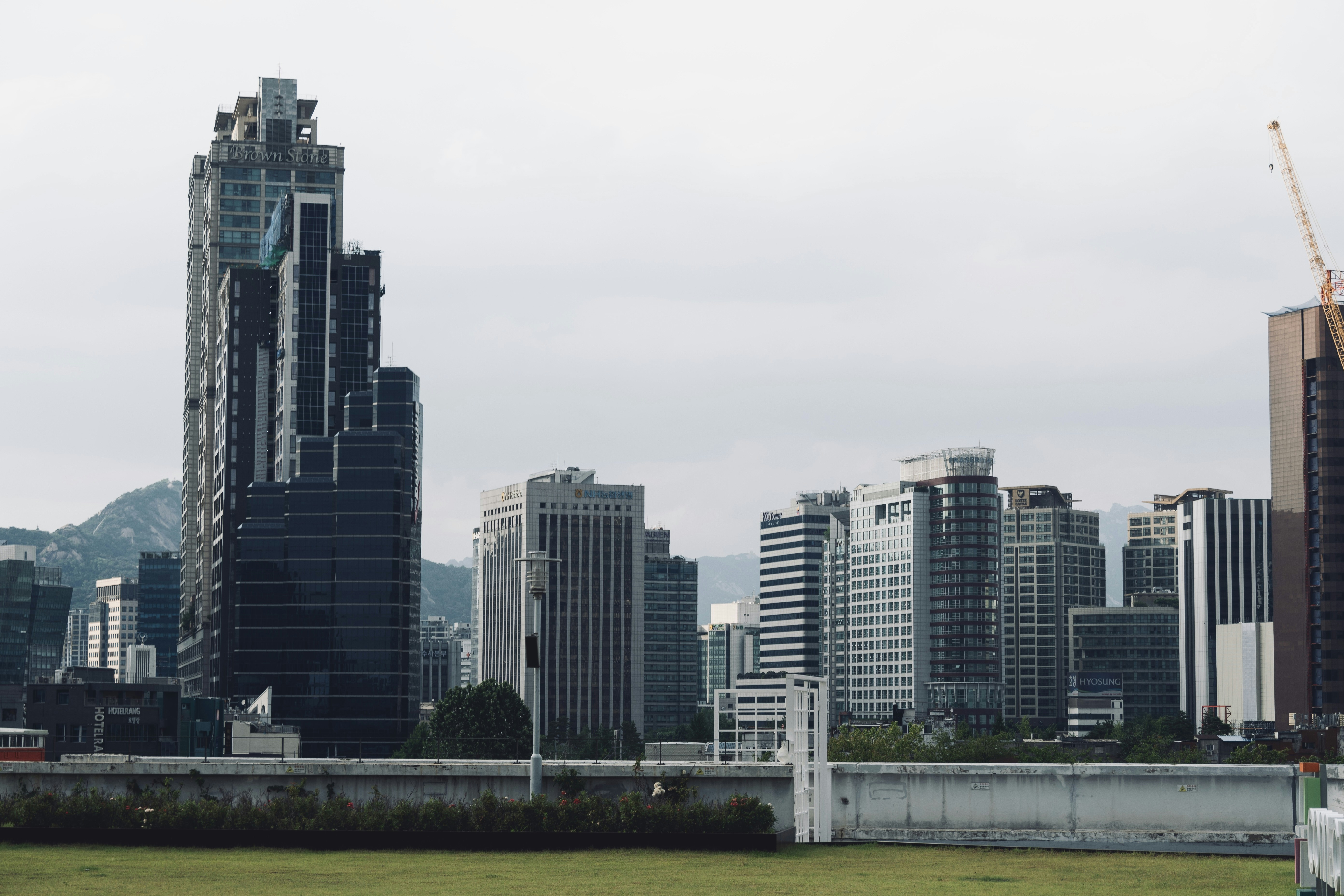 Photo by Clark Gu with Nikon Z30