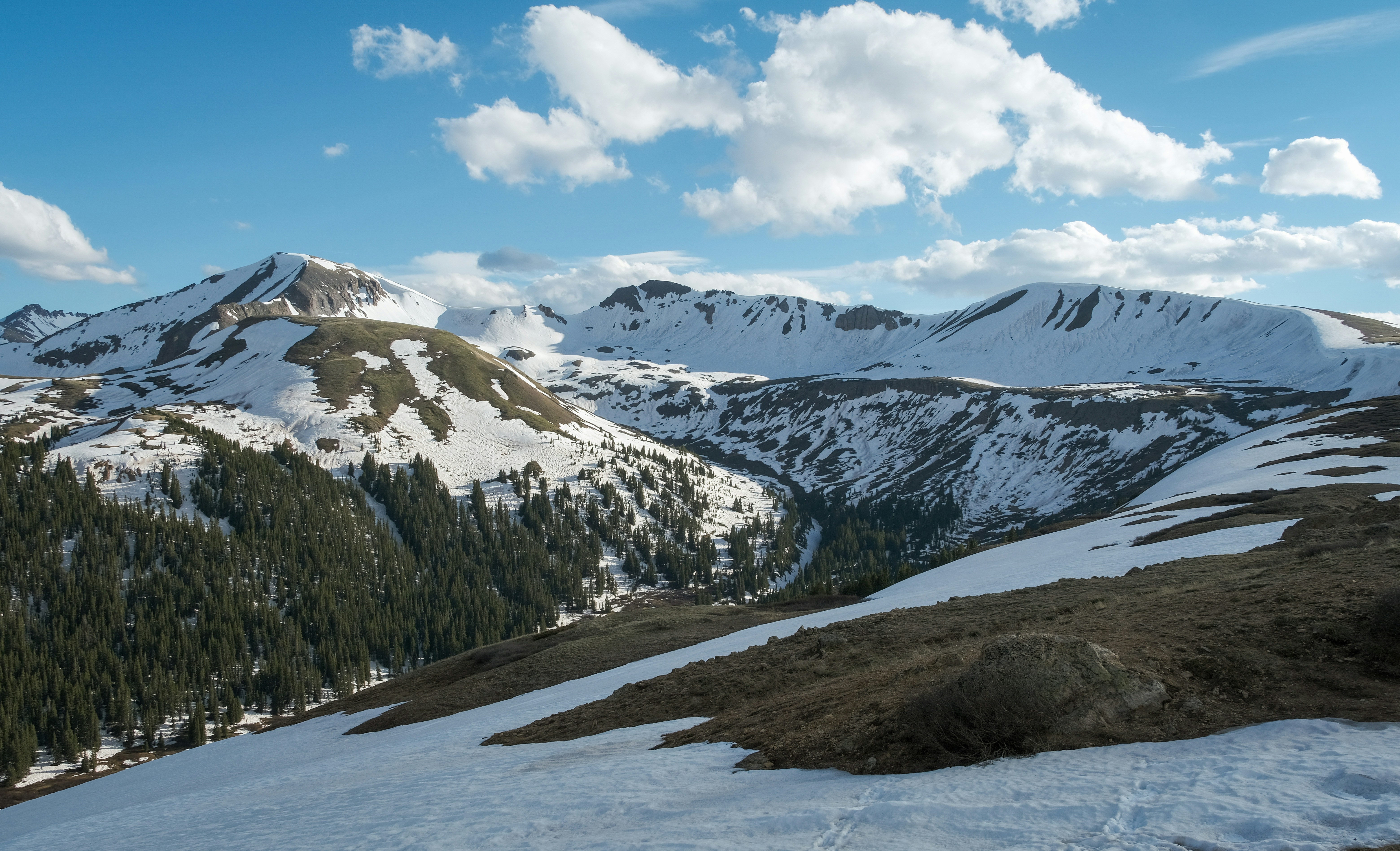 A snow covered mountain with a few trees on it photo – Free ...