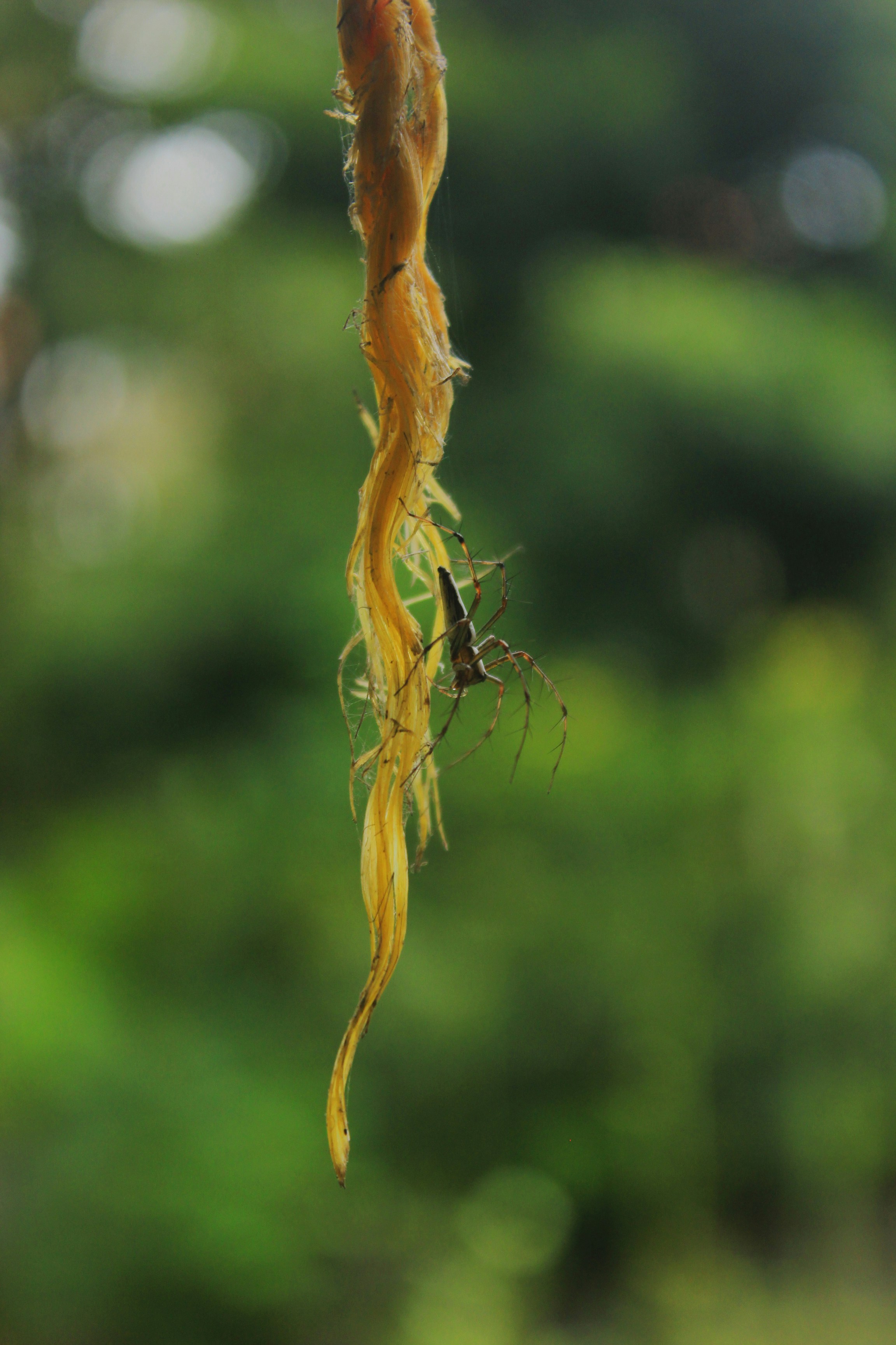 Photo by Vimal Gp with Canon EOS 550D