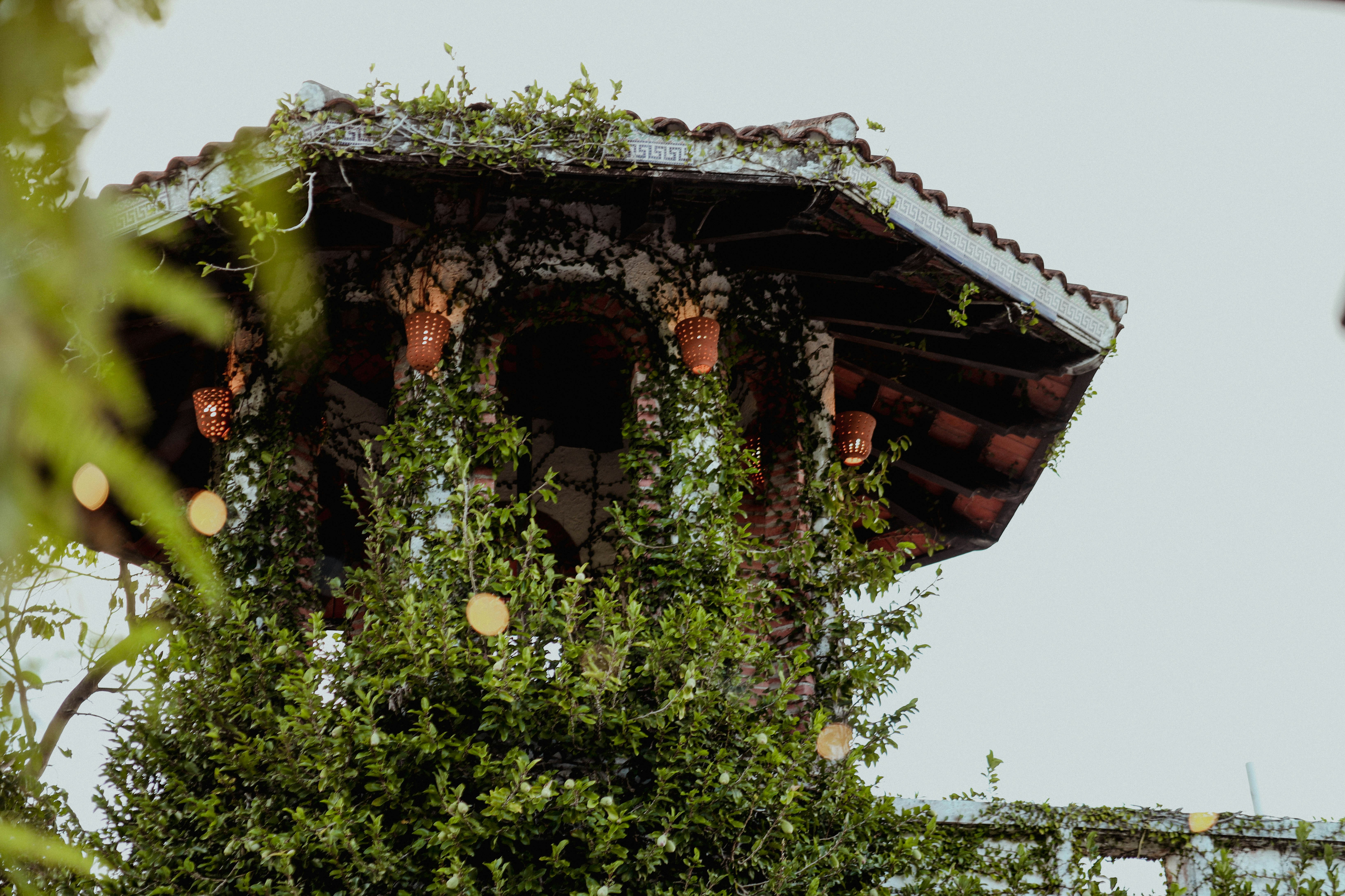 Hacienda Siesta Alegre, Puerto Rico | a clock tower covered in vines and vines
