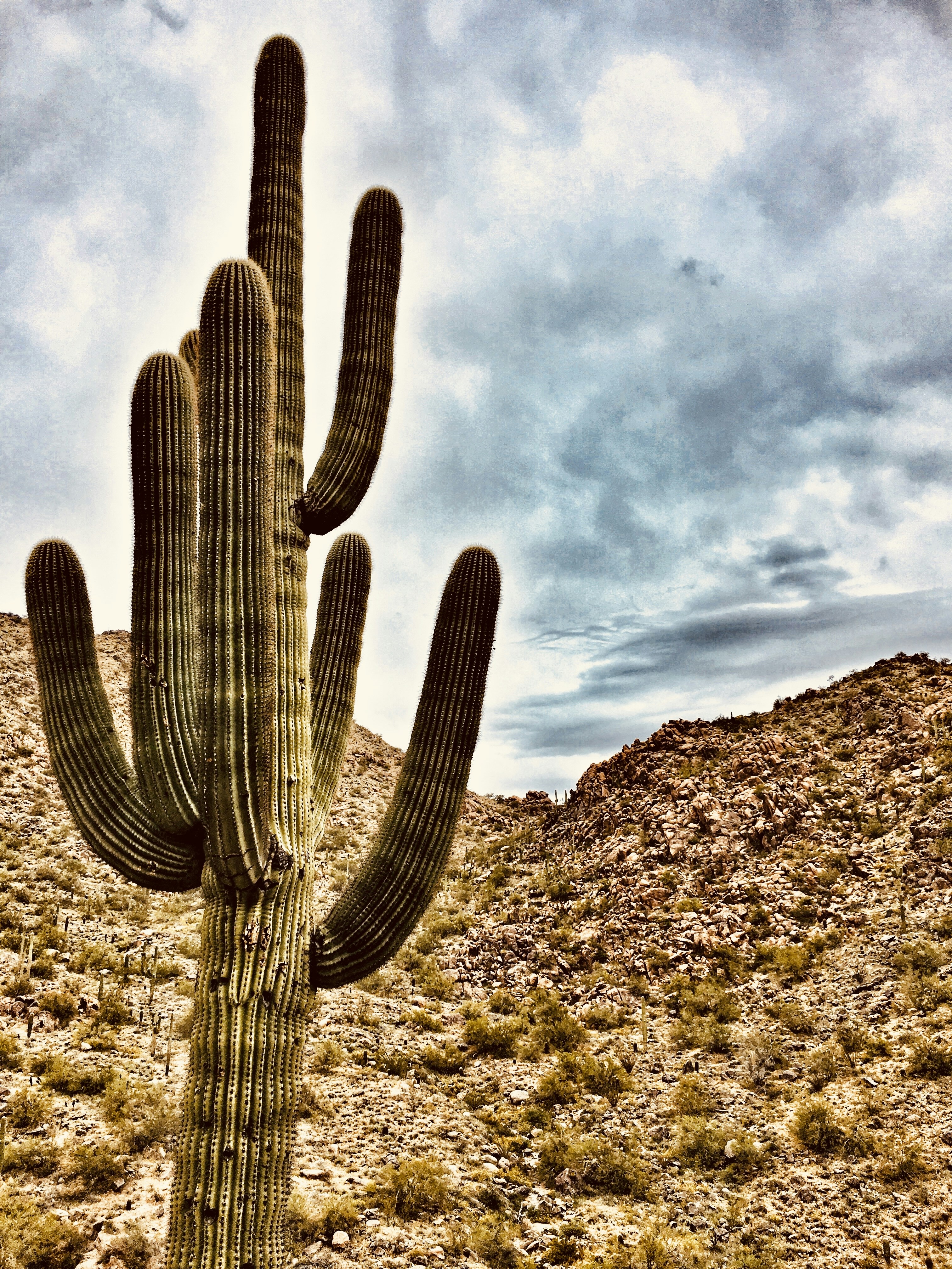 Quentin Begay (@quentinbgy) | Unsplash Photo Community