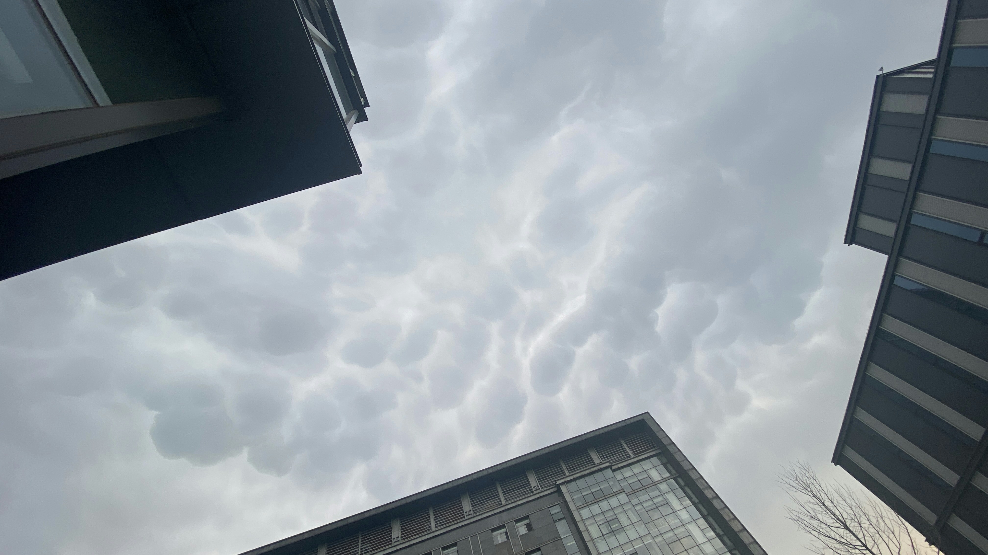 Overhead view of textured gray clouds framed by angular modern buildings, creating an urban skyward composition.