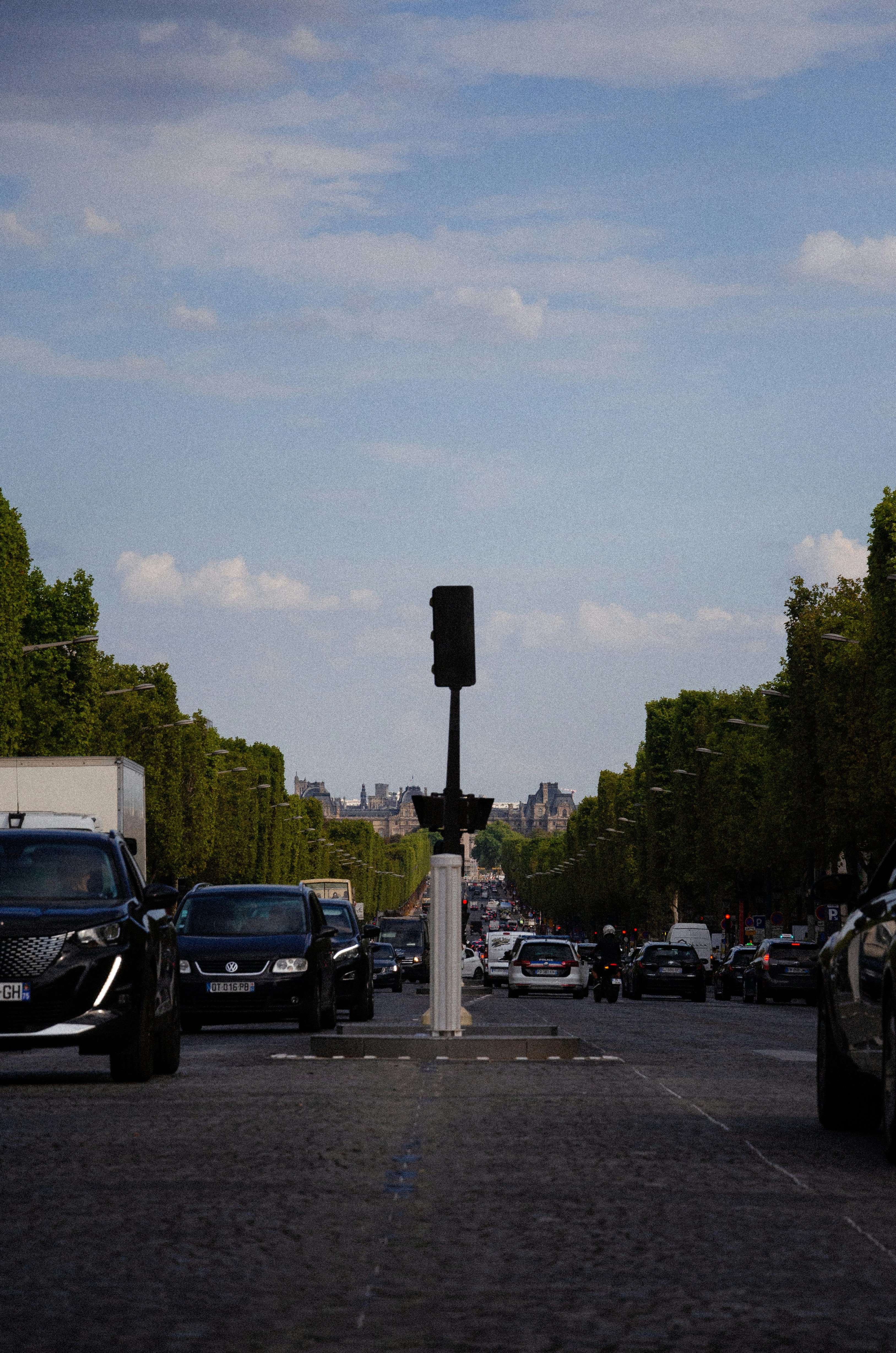 Centerline Convergence: A Tree-Lined Boulevard Framed by Traffic
