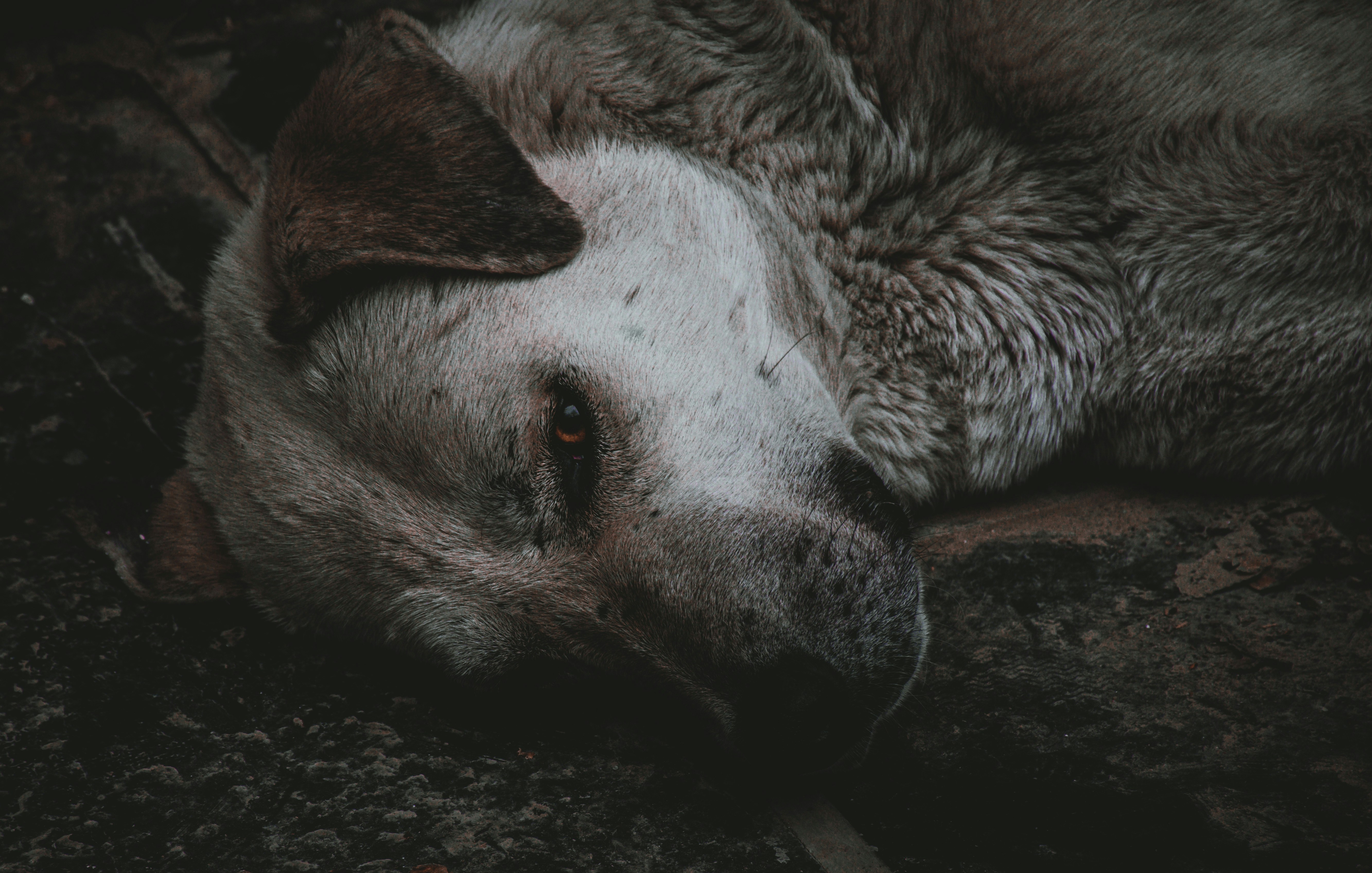 Photo by Ataa with Nikon D5300