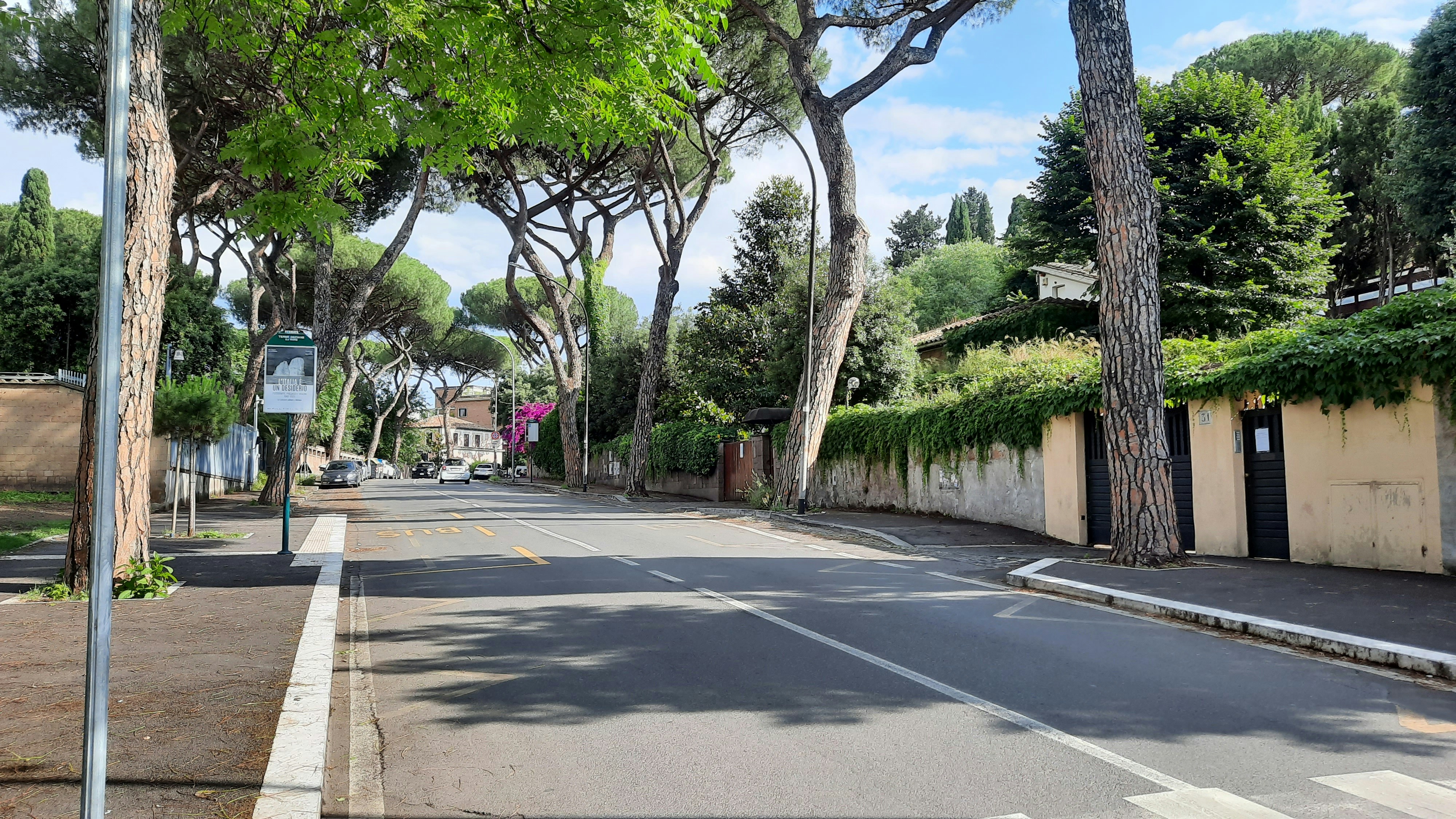 Tree-lined street beside a building, bathed in soft daylight with lush greenery.