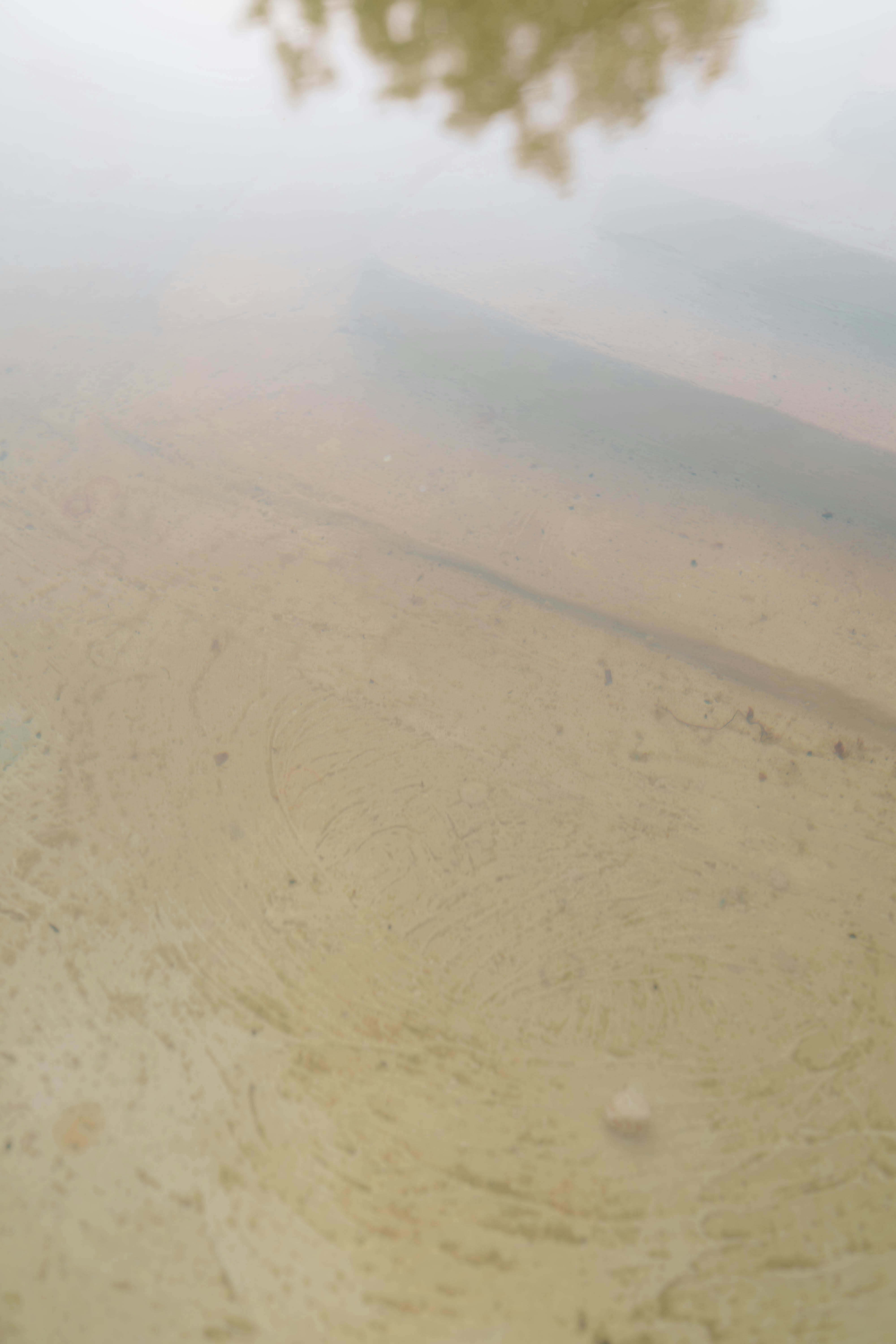 Misty Shallows: Sand Circles and Quiet Reflections