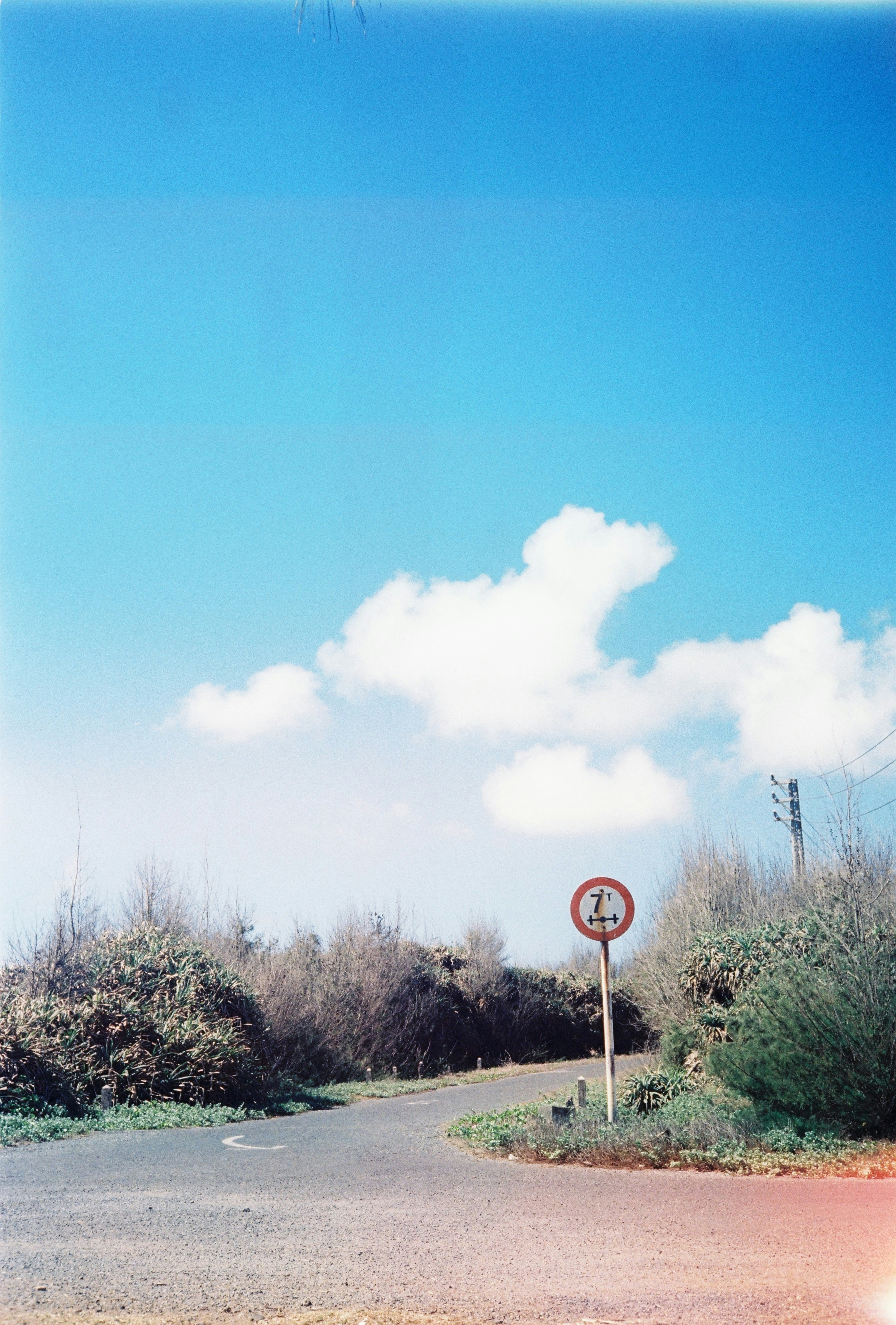 Edge of the Lane: A Quiet Rural Bend Under a Wide Blue Sky