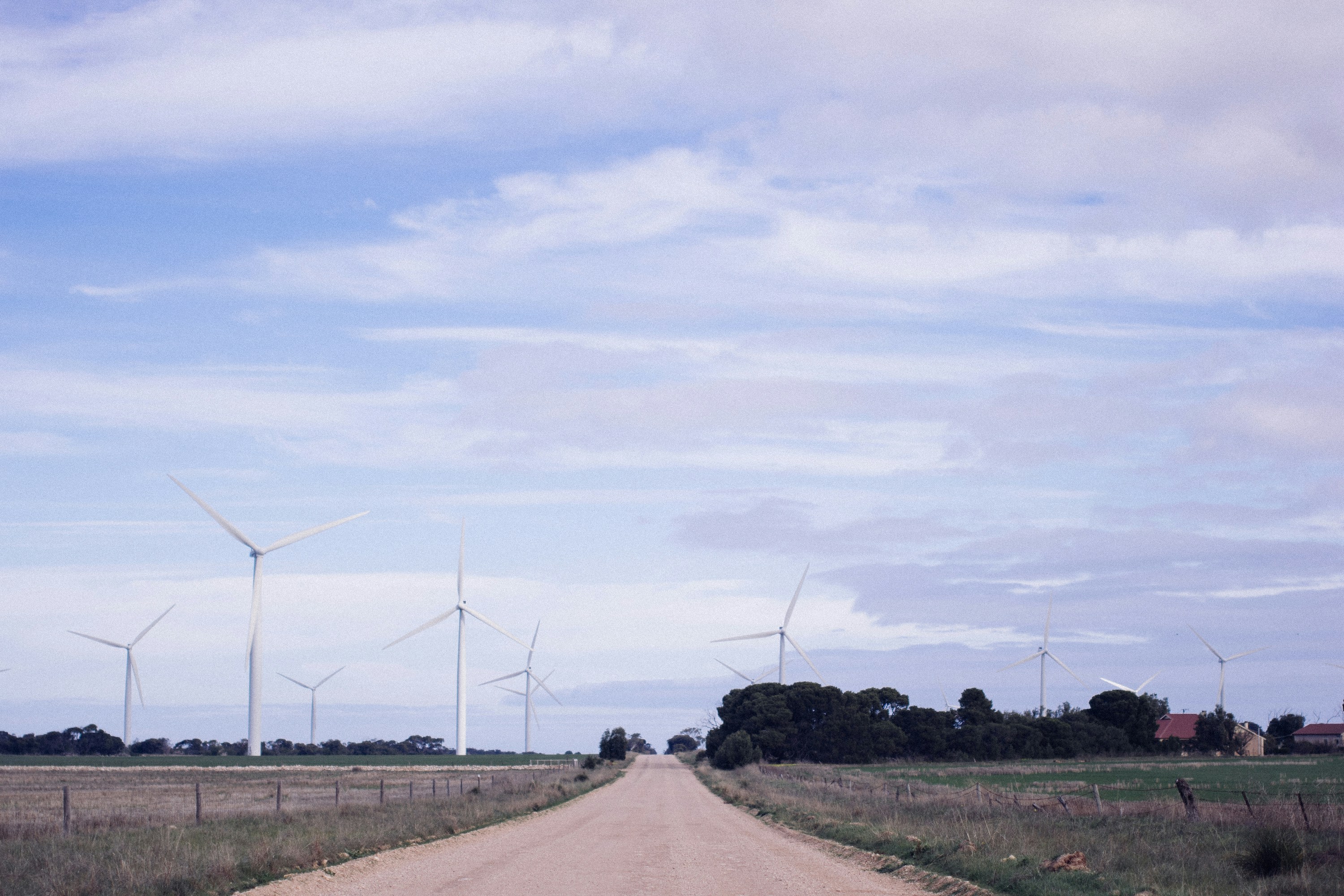 Dusty Road, Distant Turbines: A Quiet Prairie Portrait