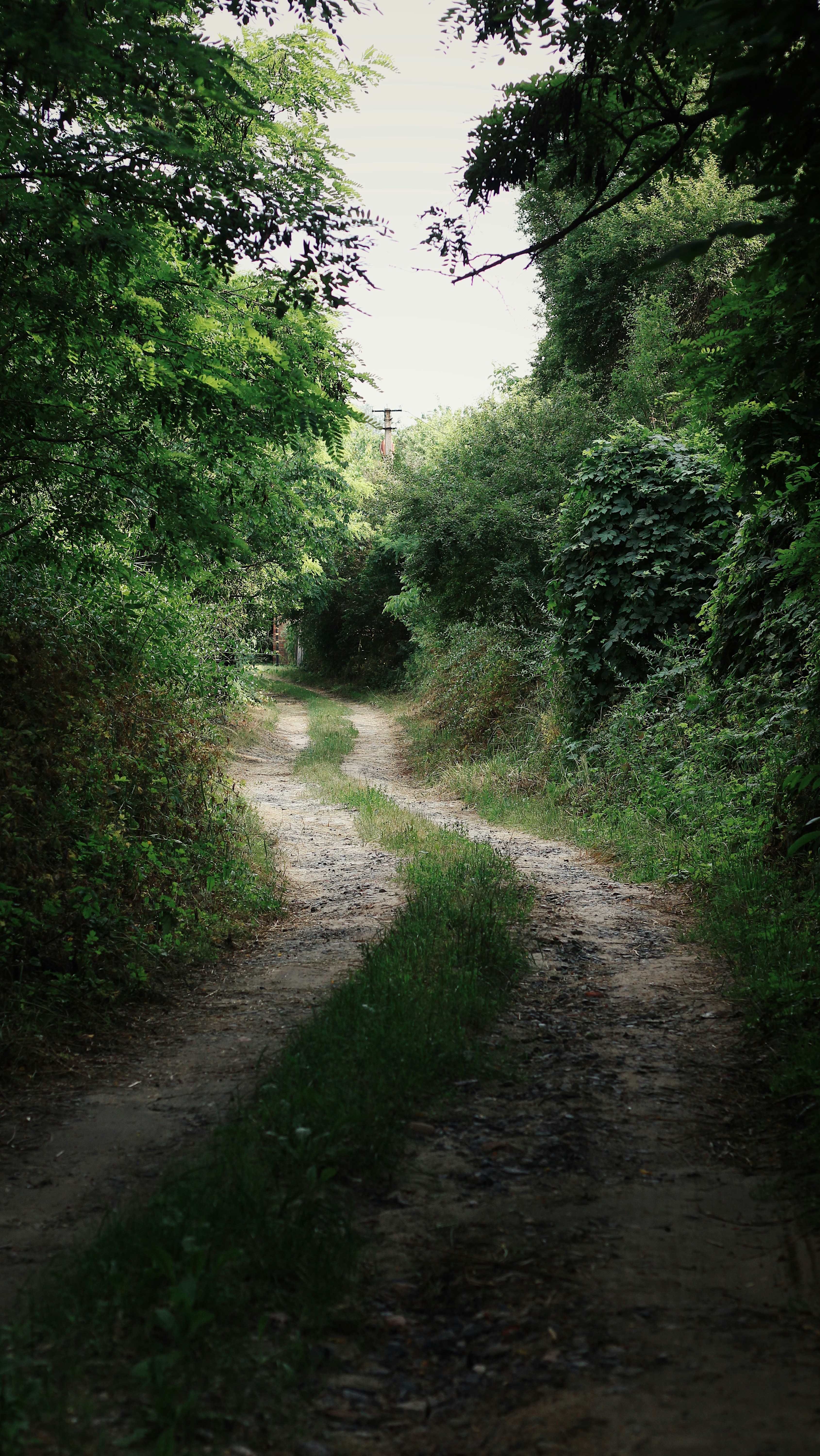 Photo by Roman Hnydin with Canon EOS 2000D