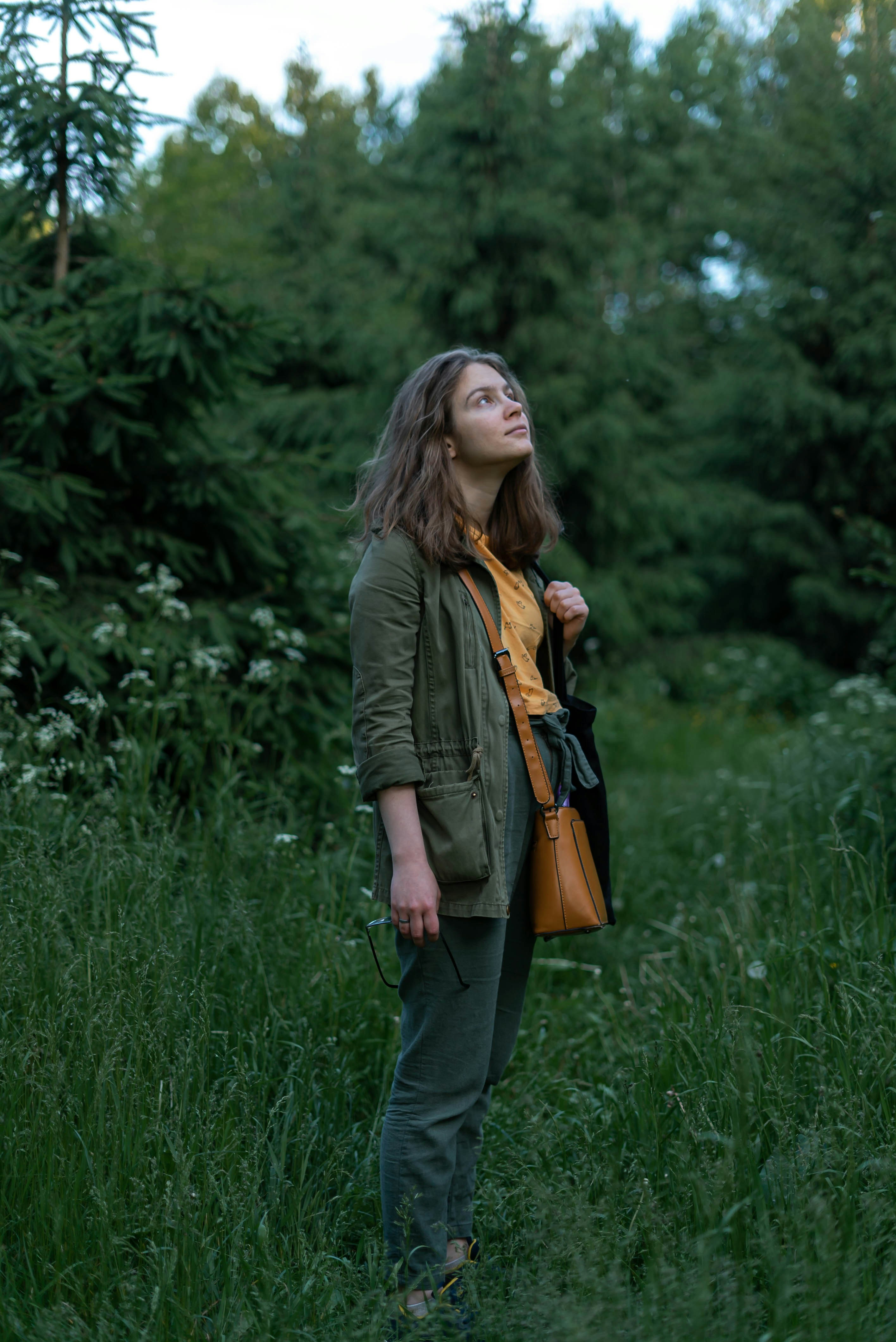 Amber Threads in a Green Clearing: A Quiet Forest Portrait