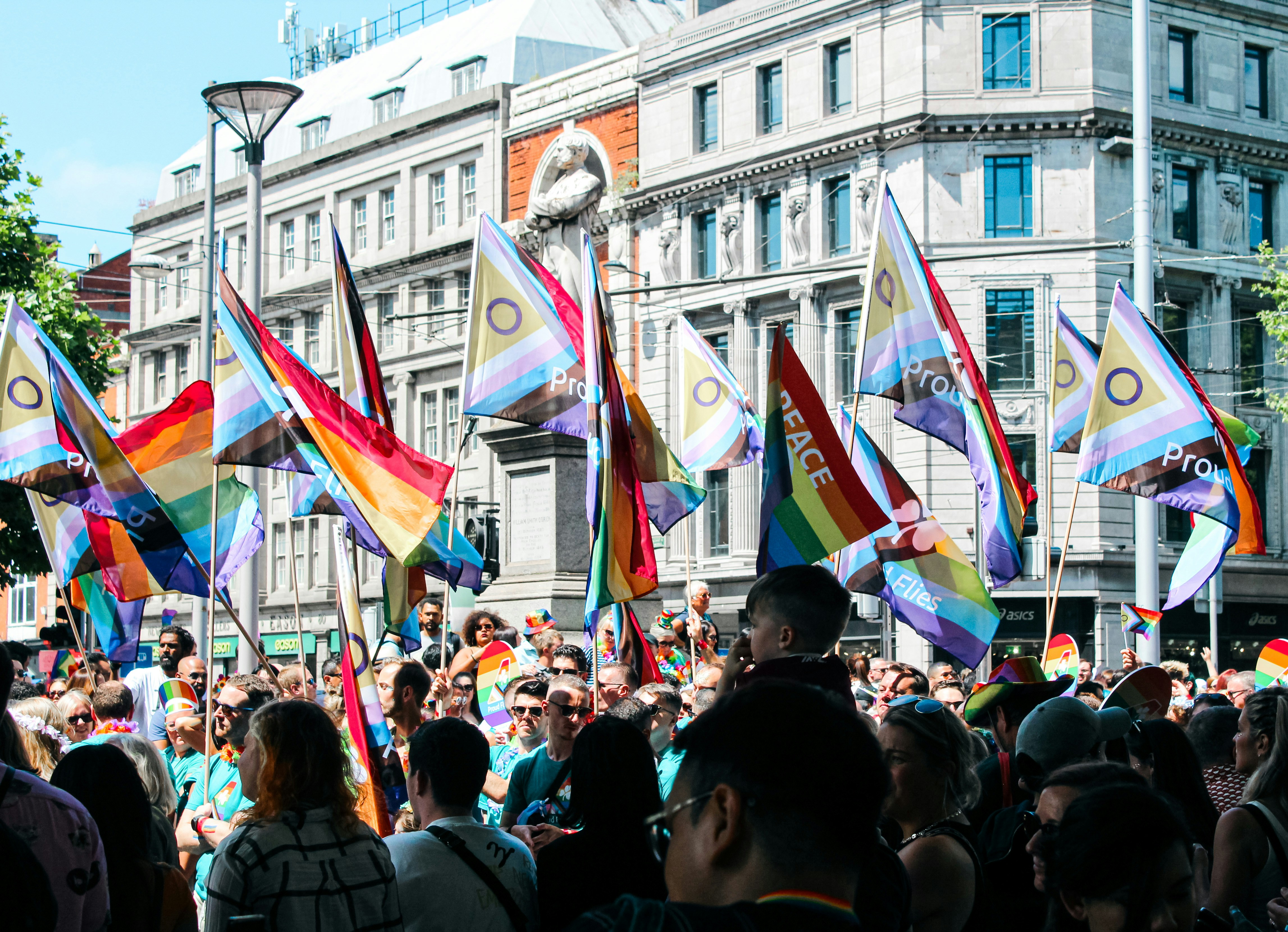 A large group of people holding rainbow flags photo – Free Pride parade ...